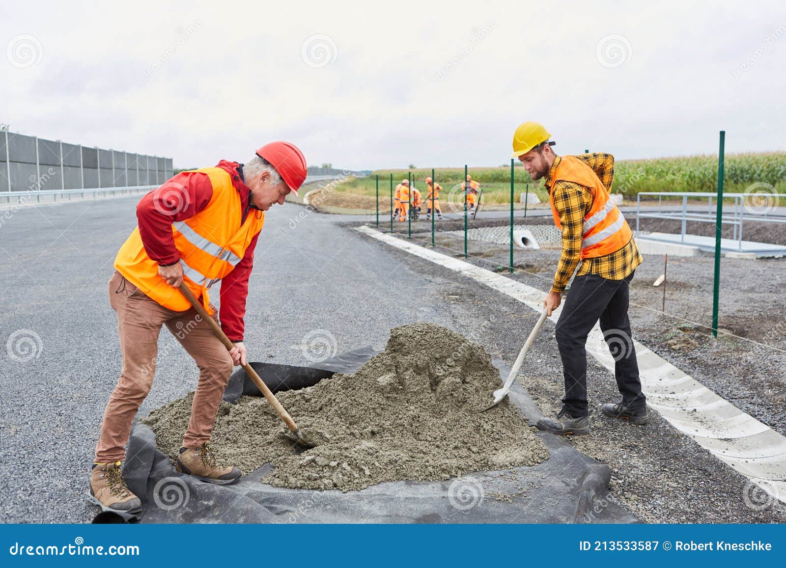Two Construction Workers Shovel Concrete while Building a Road Stock ...