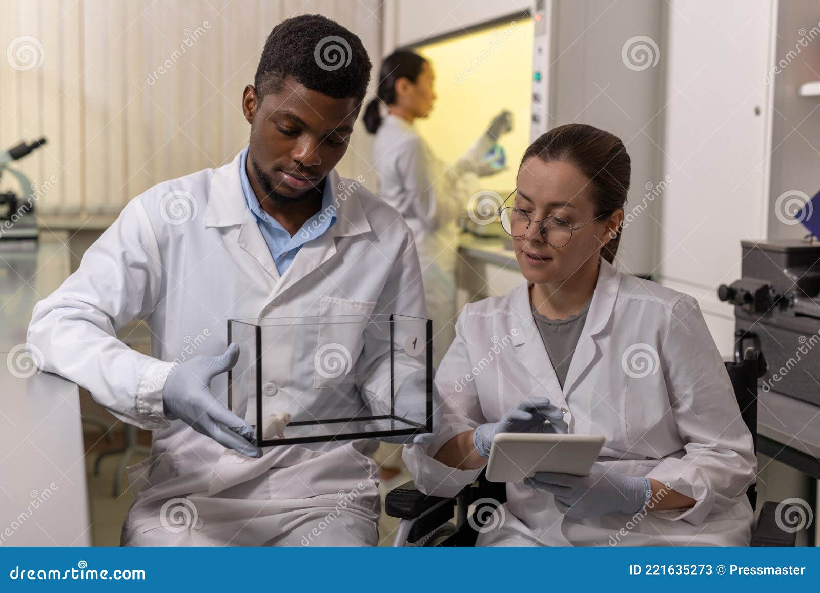 Two Contemporary Scientists Studying Characteristics of White Mouse ...