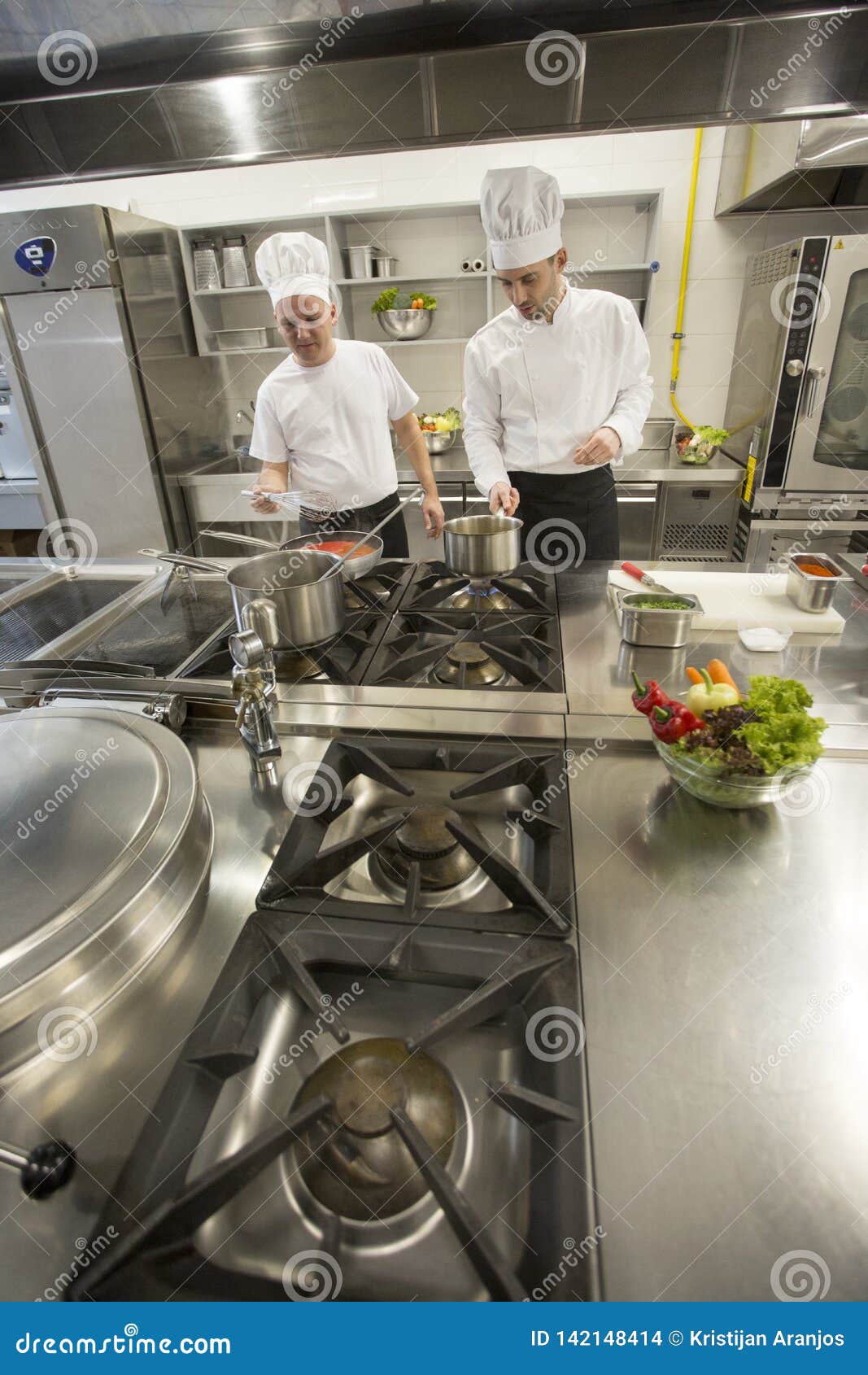 Two Cook Chefs in Professional Kitchen Stock Photo - Image of food ...