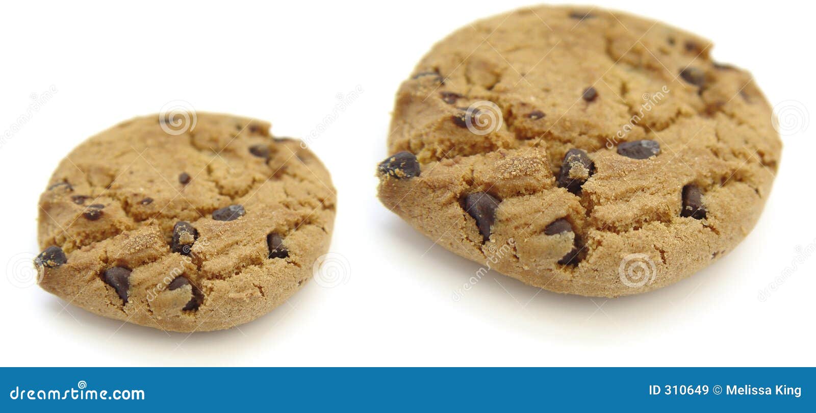 Two Cookies stock image. Image of isolated, exposed, cookies - 310649