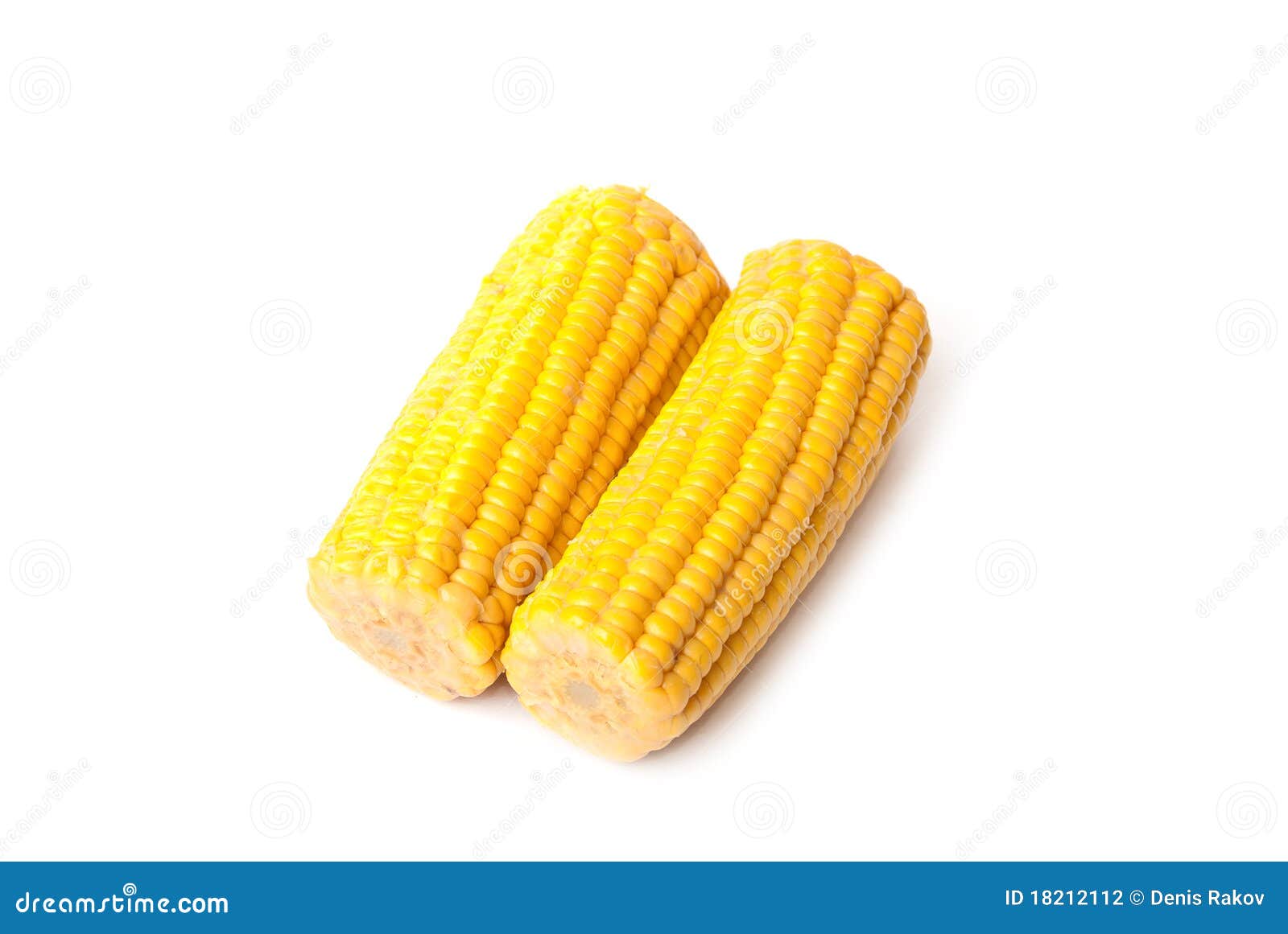 Two corn stock photo. Image of background, cultivated - 18212112