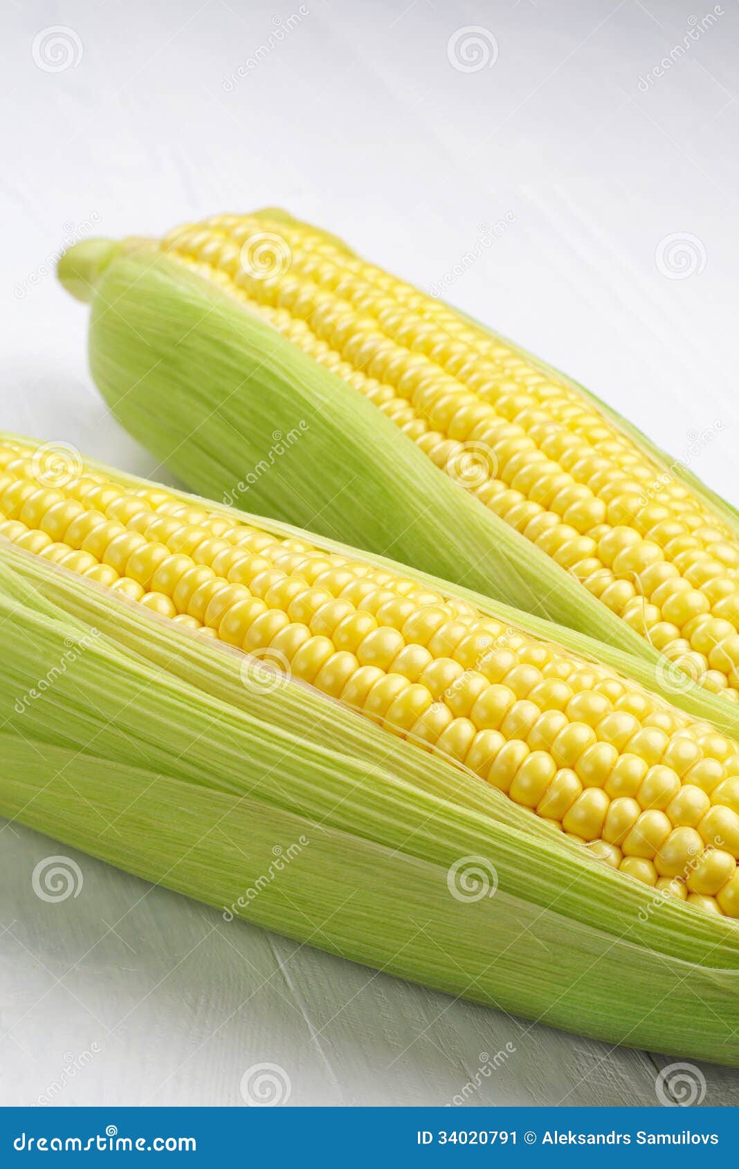 Two corn cob closeup stock image. Image of agriculture - 34020791