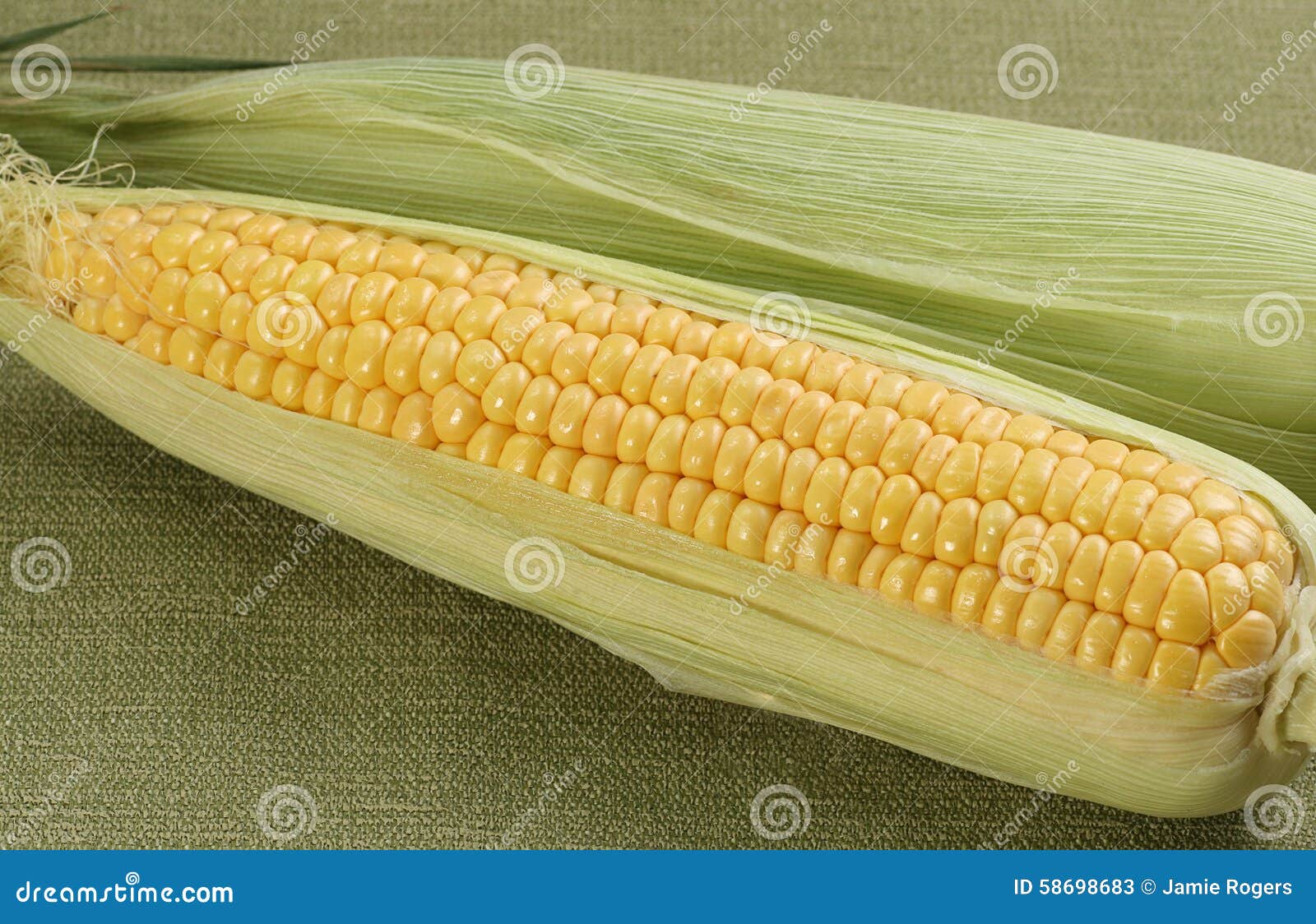 Two corn on the cob stock image. Image of ripe, detail - 58698683