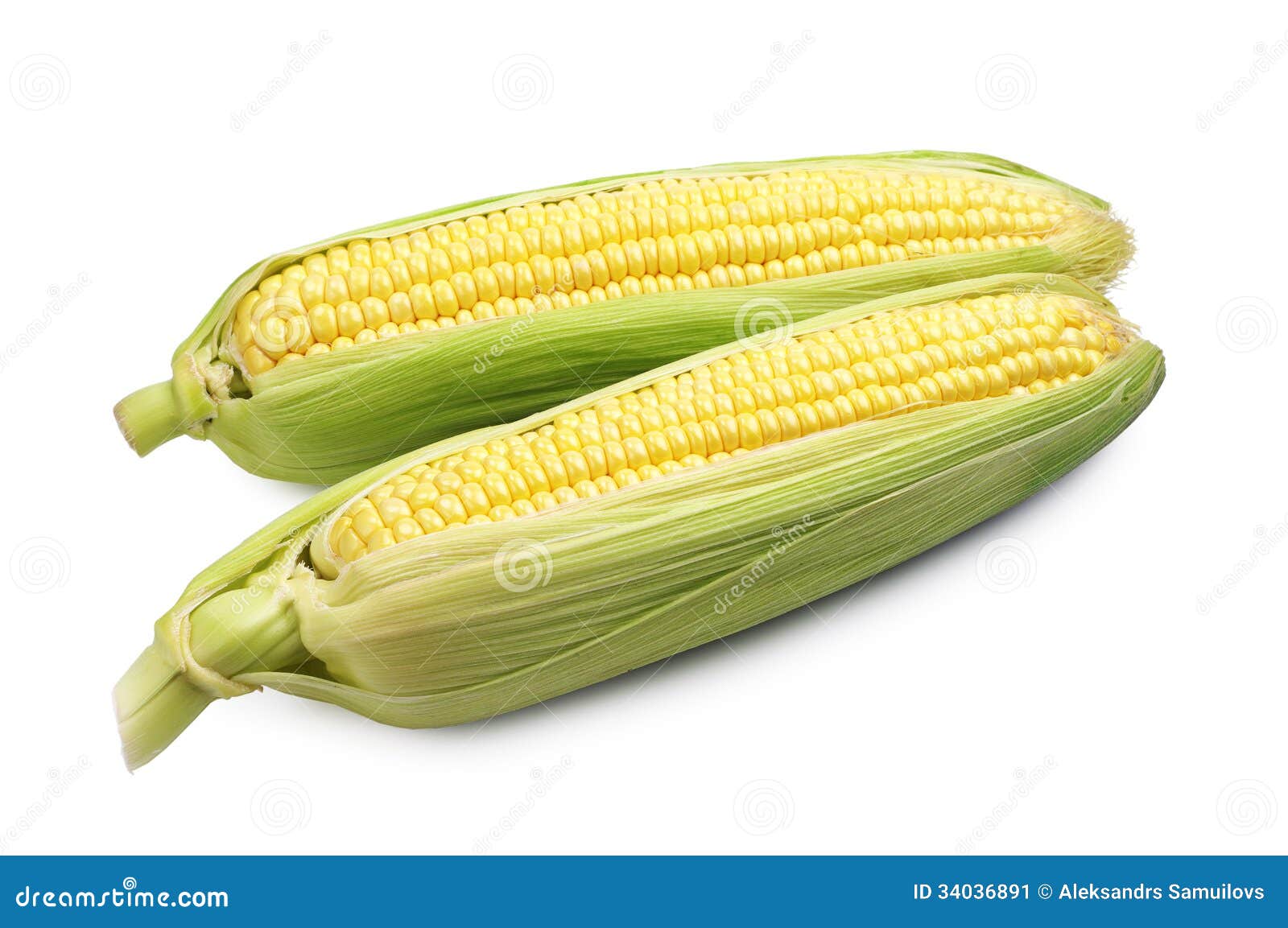 Two corn cob stock image. Image of nutrition, flake, fresh - 34036891