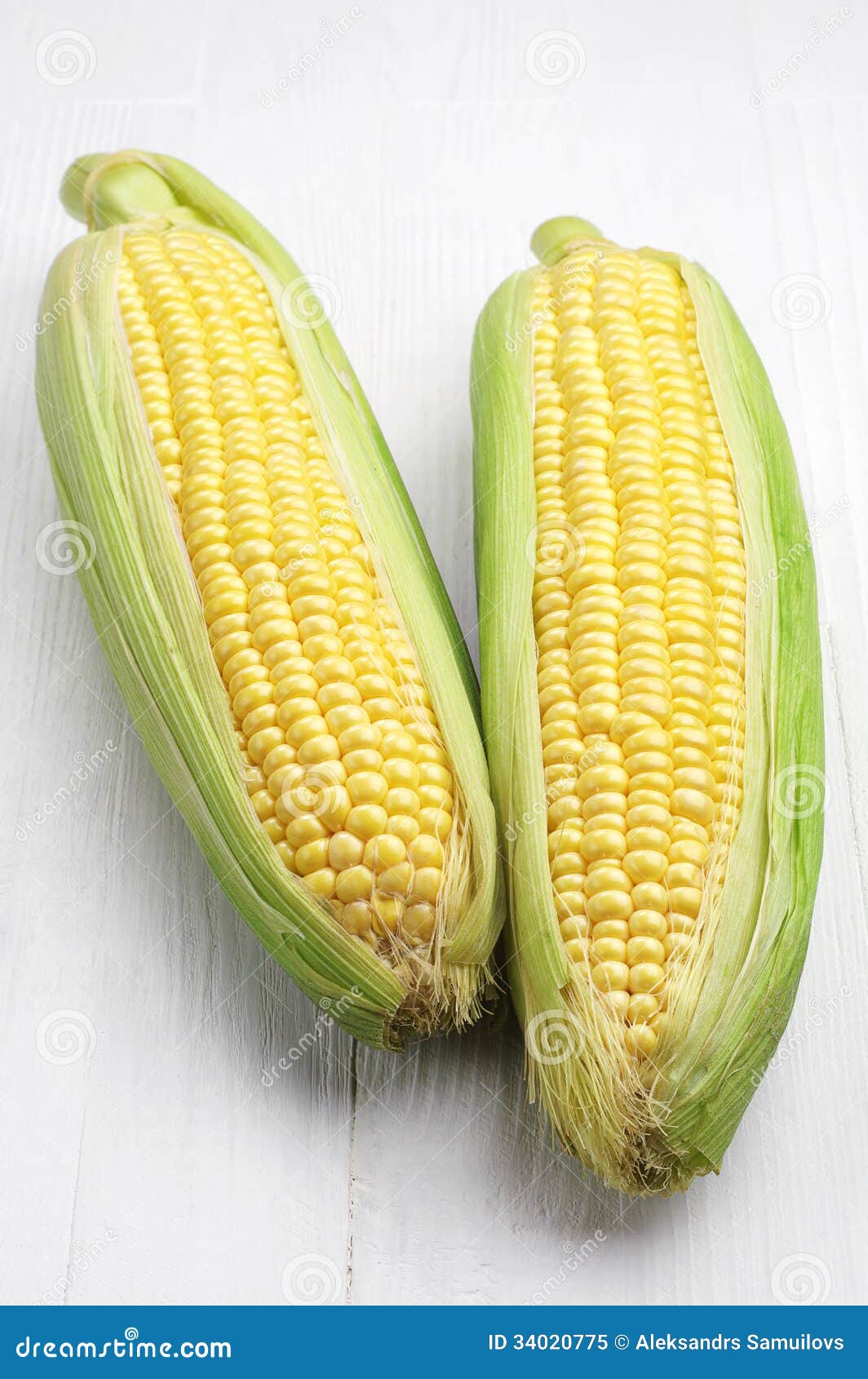 Two corn cob stock image. Image of diet, tasty, fresh - 34020775
