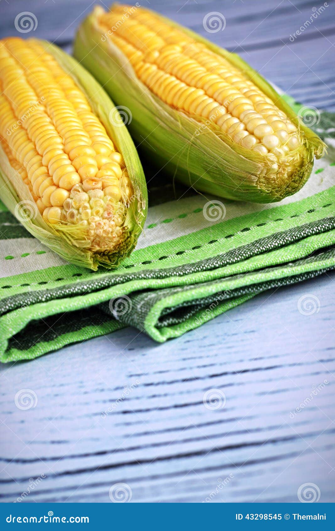 Two corn cobs stock image. Image of sweet, ripe, corn - 43298545