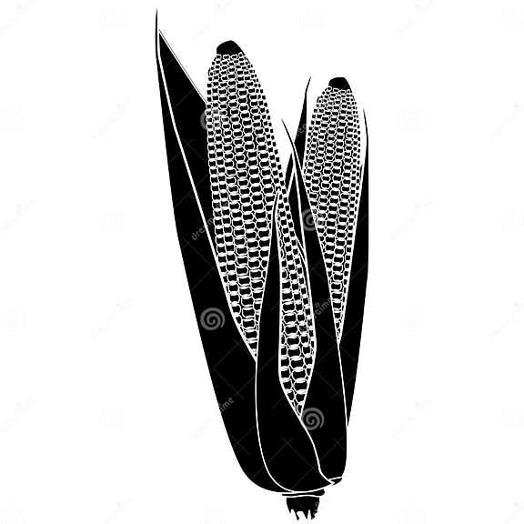 Two Corn Cobs Silhouette with Grains and Leaves Isolated on White ...