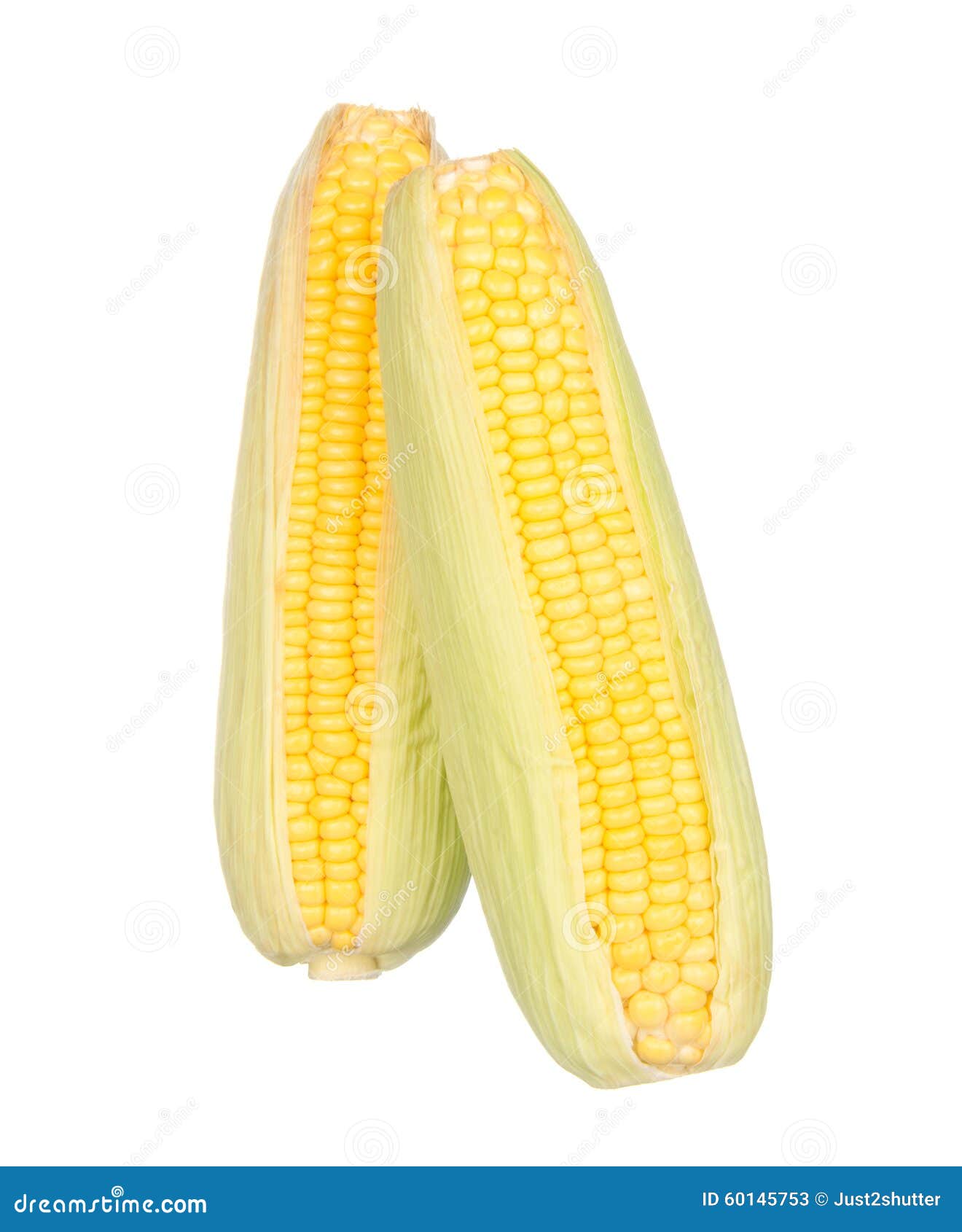 Two corn isolated on white stock image. Image of object - 60145753