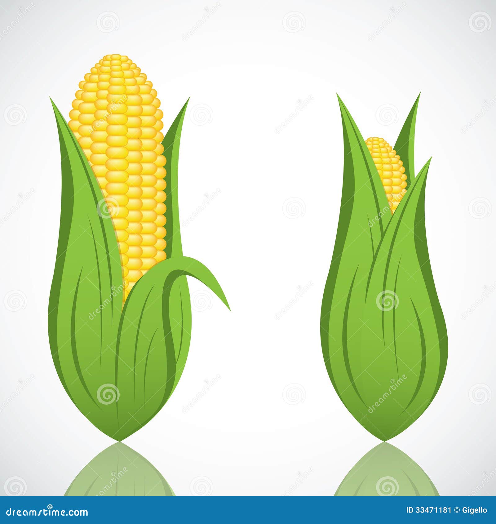 Two corn with leaf stock vector. Illustration of eps10 - 33471181