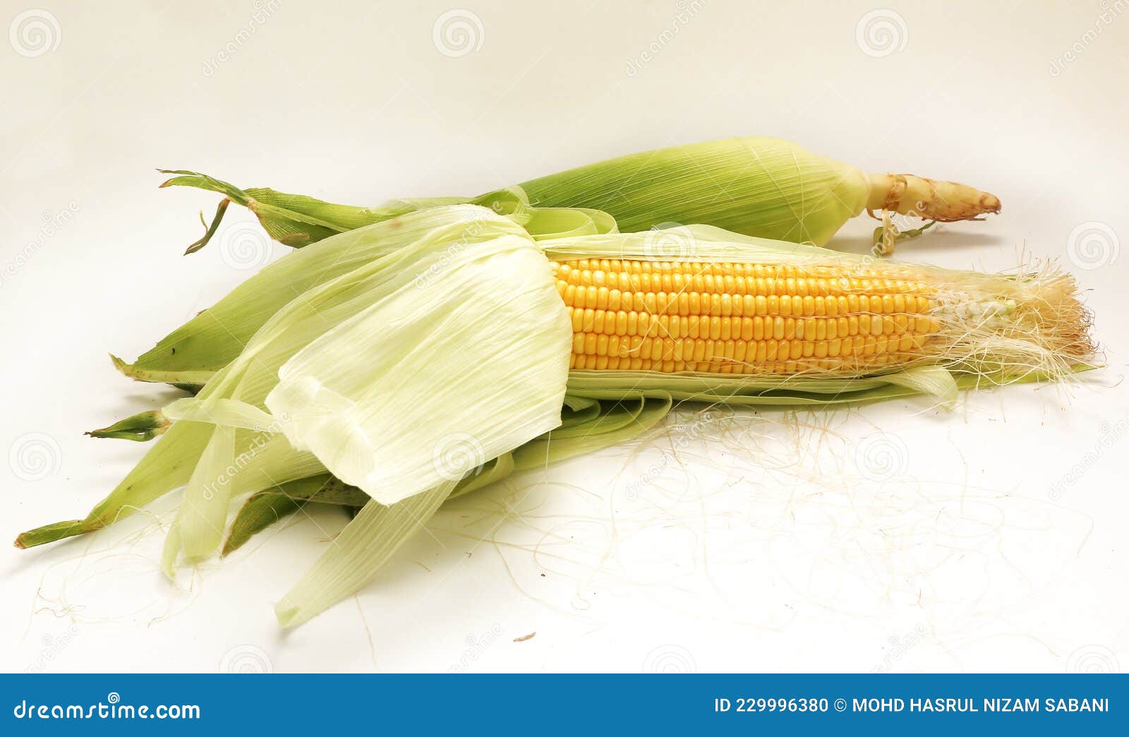 Two corn and one peeled stock photo. Image of selective - 229996380