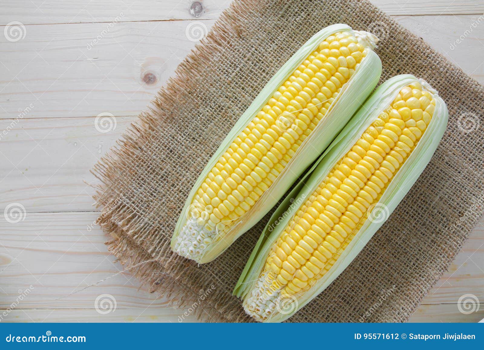 Two corn on sack stock photo. Image of wood, green, diet - 95571612