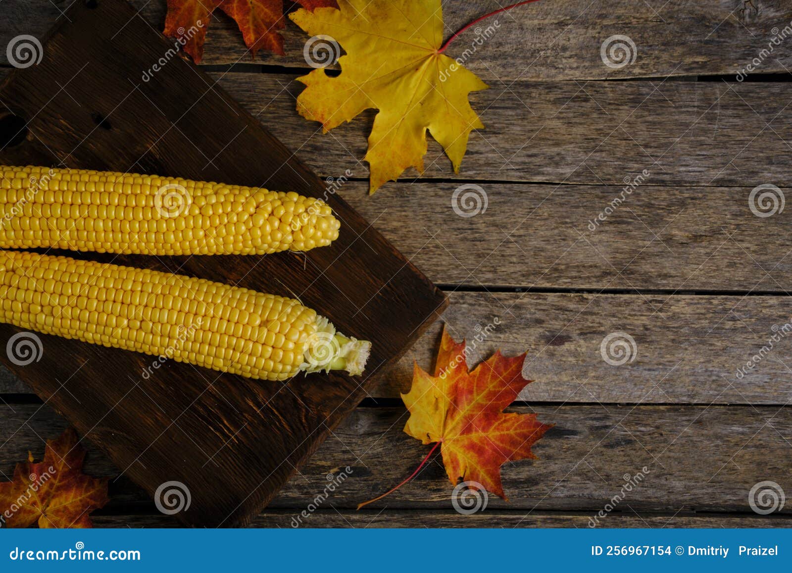 Two Corn on Wooden Chopping Board and Autumn Maple Leaves Falling on ...