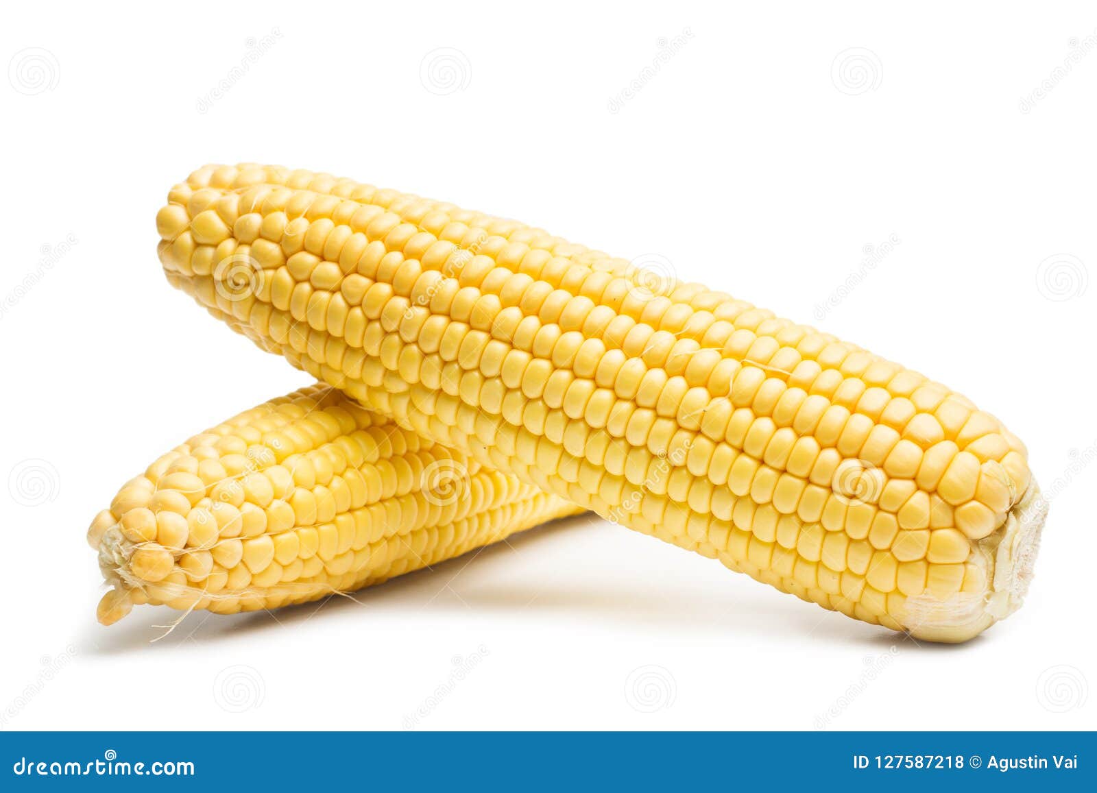 Two Corns in a Cut Out View Stock Photo - Image of nutritious ...
