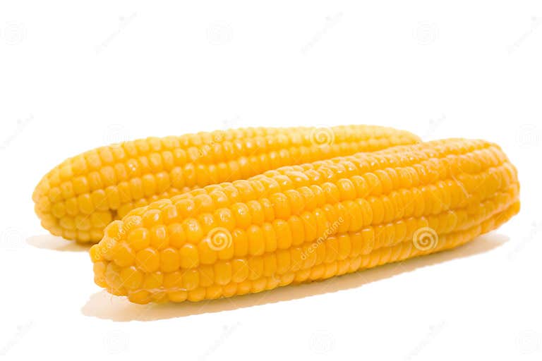 Two corns stock image. Image of closeup, sweet, summer - 32399807
