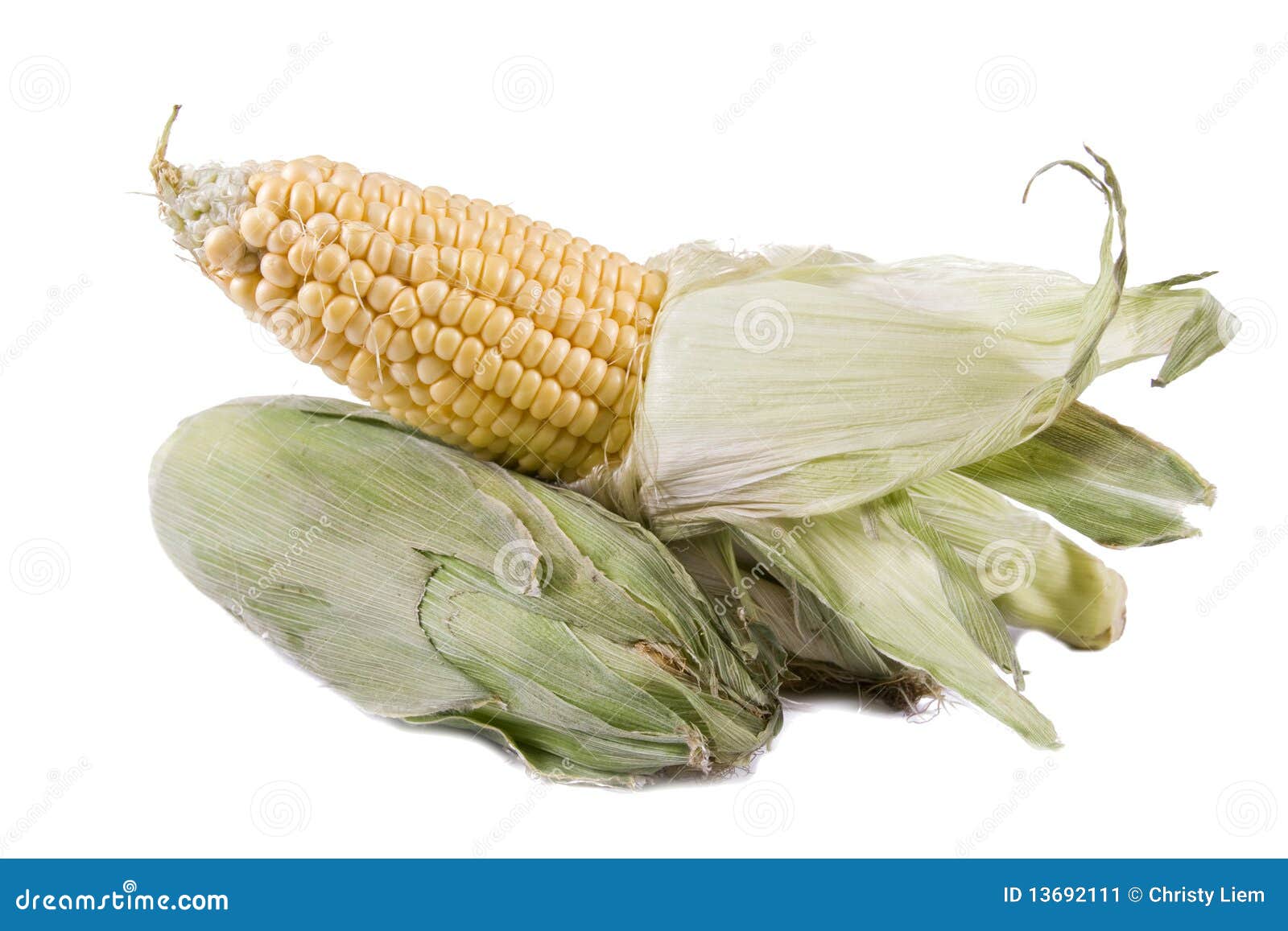 Two corns right on top stock image. Image of flavor, market - 13692111