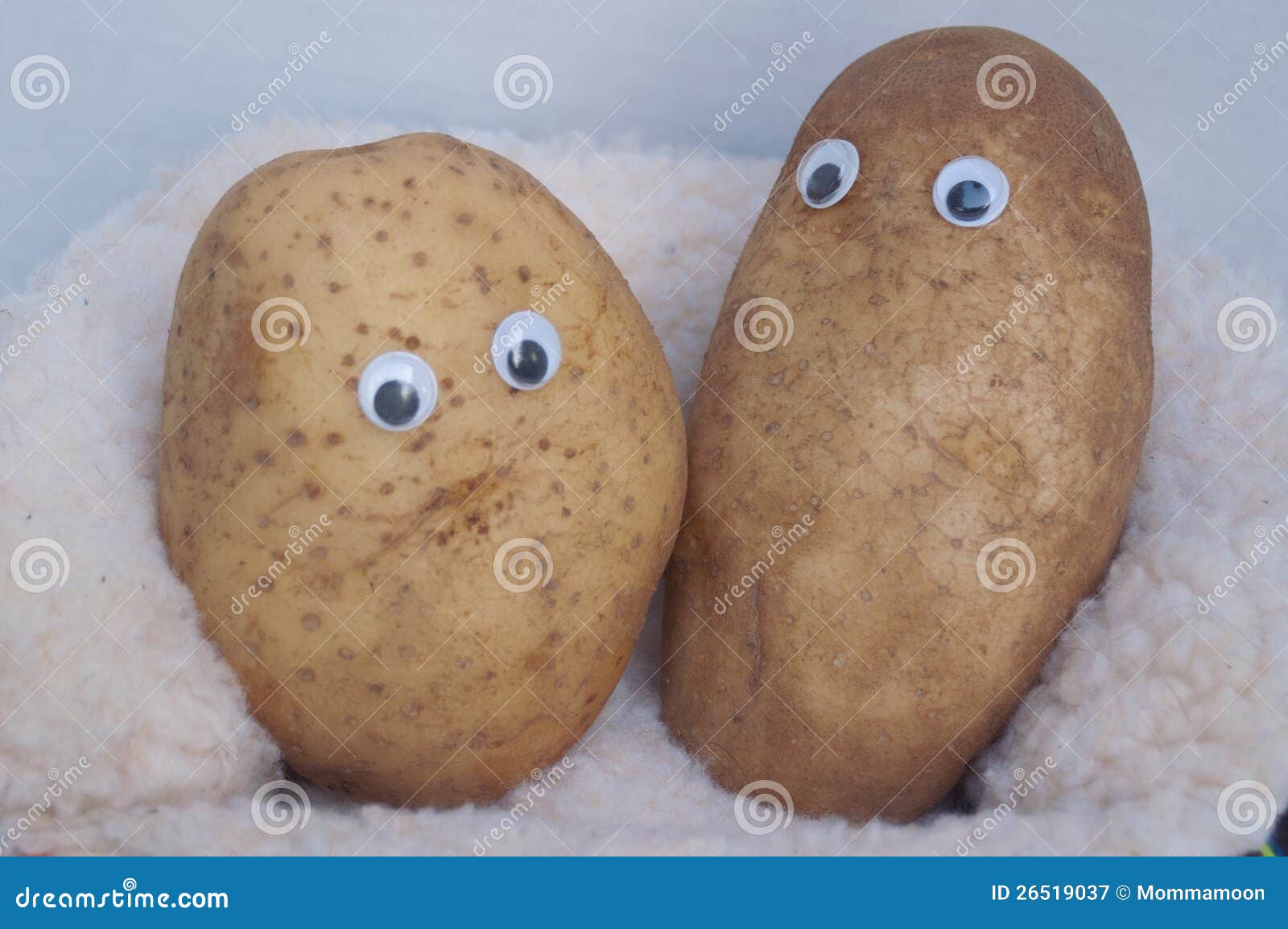 Two Couch Potatoes stock image. Image of drink, control - 26519037