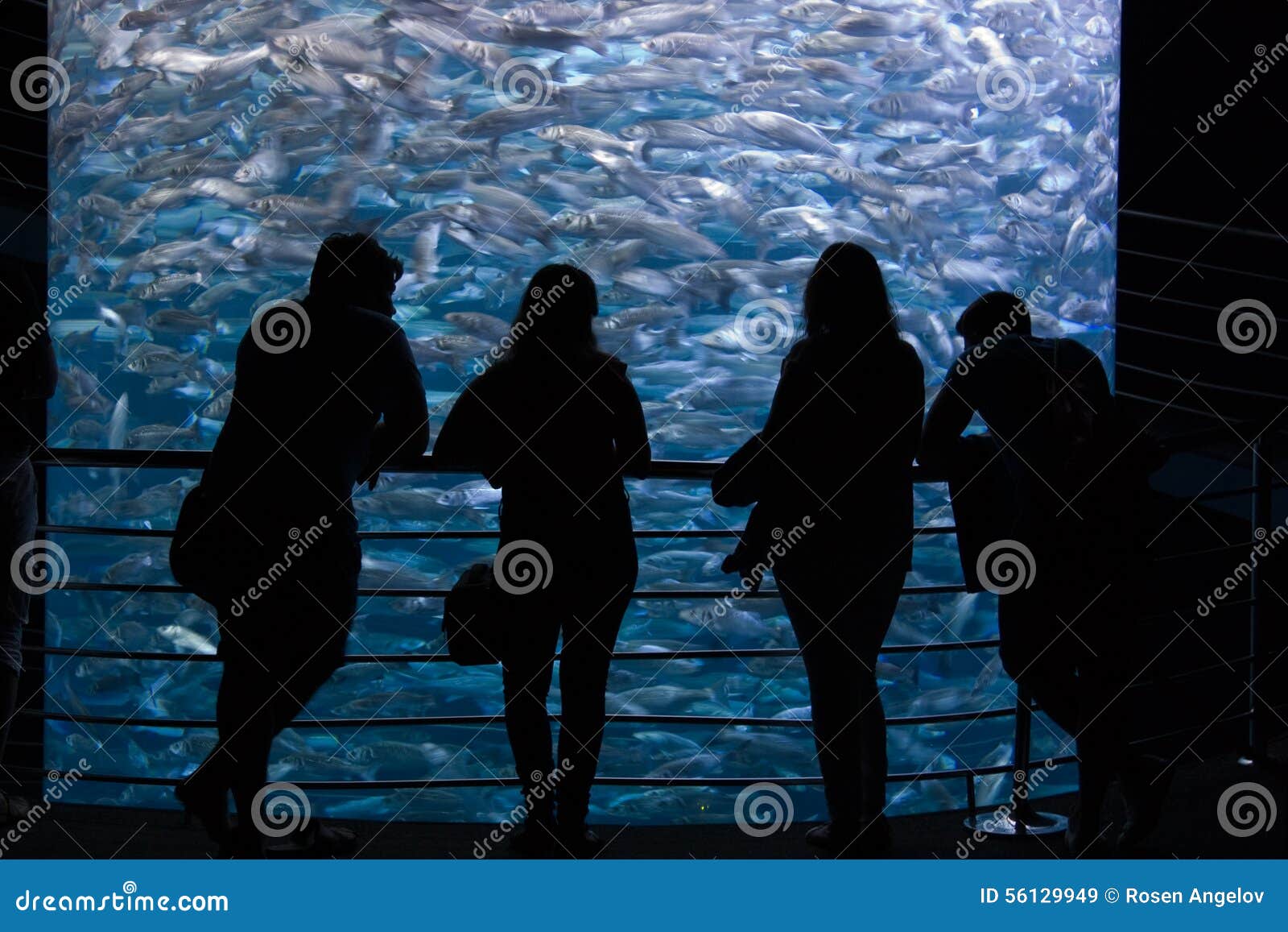 Two Couples Watching the Fish Dance Stock Image - Image of dance ...