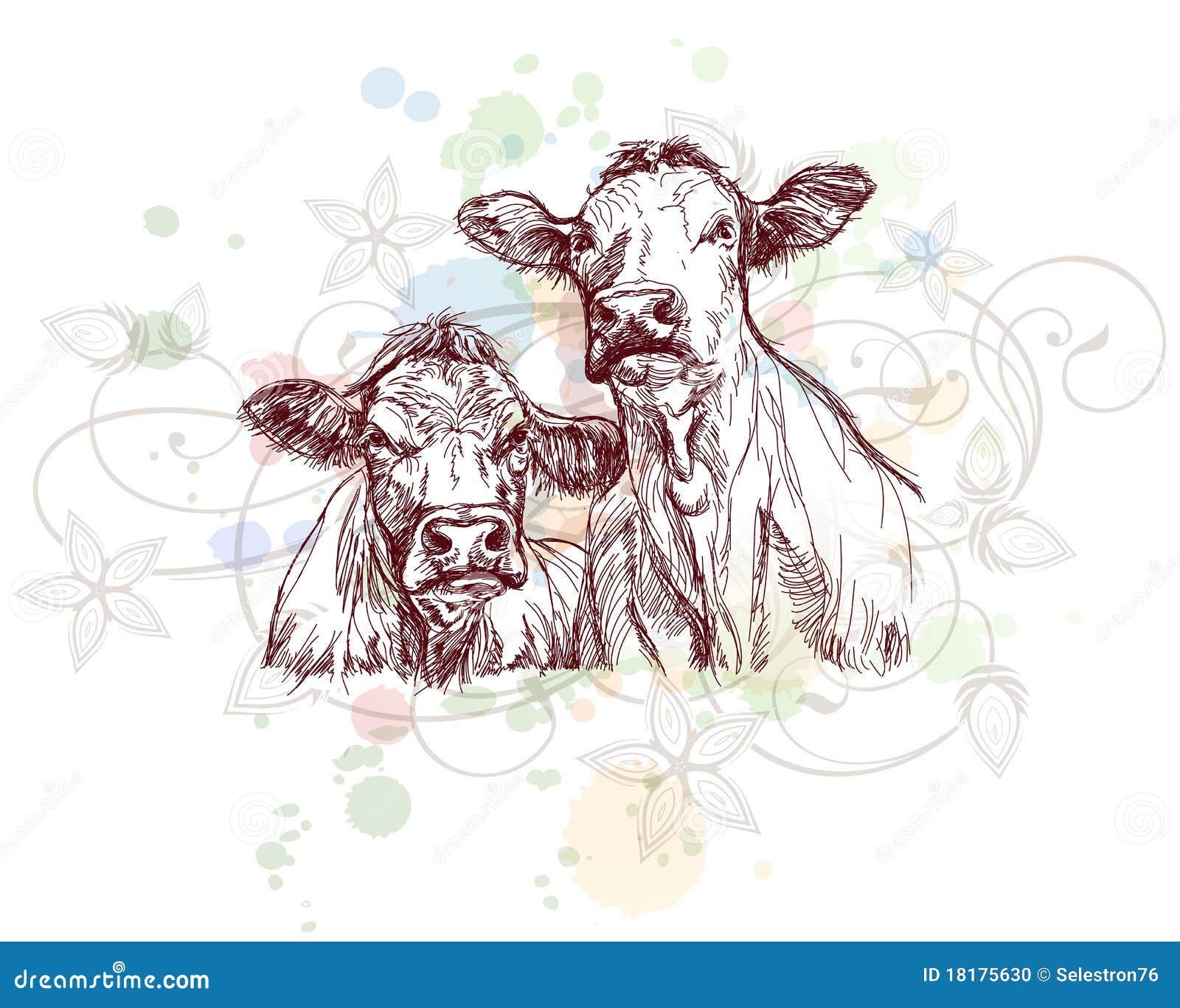 Two Cows Hand Draw Sketch & Floral Ornament Stock Vector - Illustration ...
