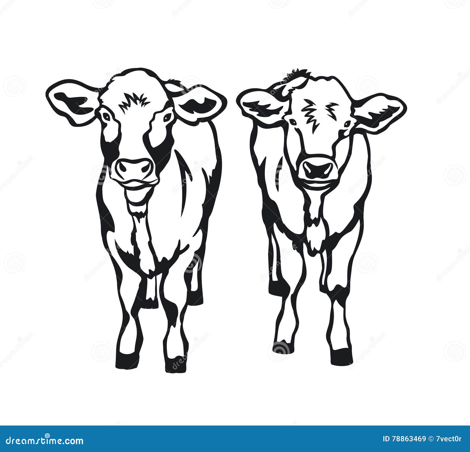 Cows Front Stock Illustrations – 304 Cows Front Stock Illustrations ...