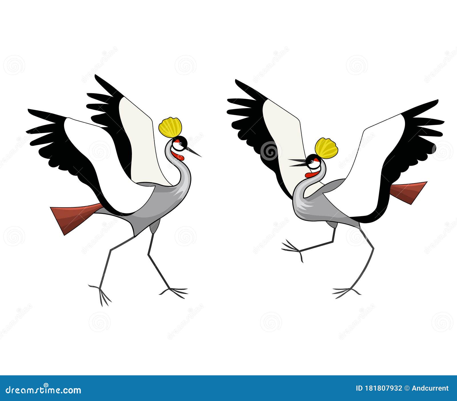 Two Crowned Cranes are Fighting. Vector Color Image. Stock Vector ...
