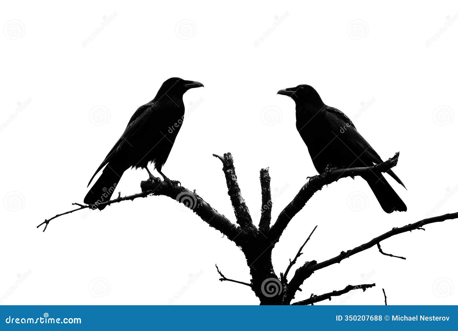 Two Crows Perching on Bare Tree Branch Silhouette Stock Illustration ...