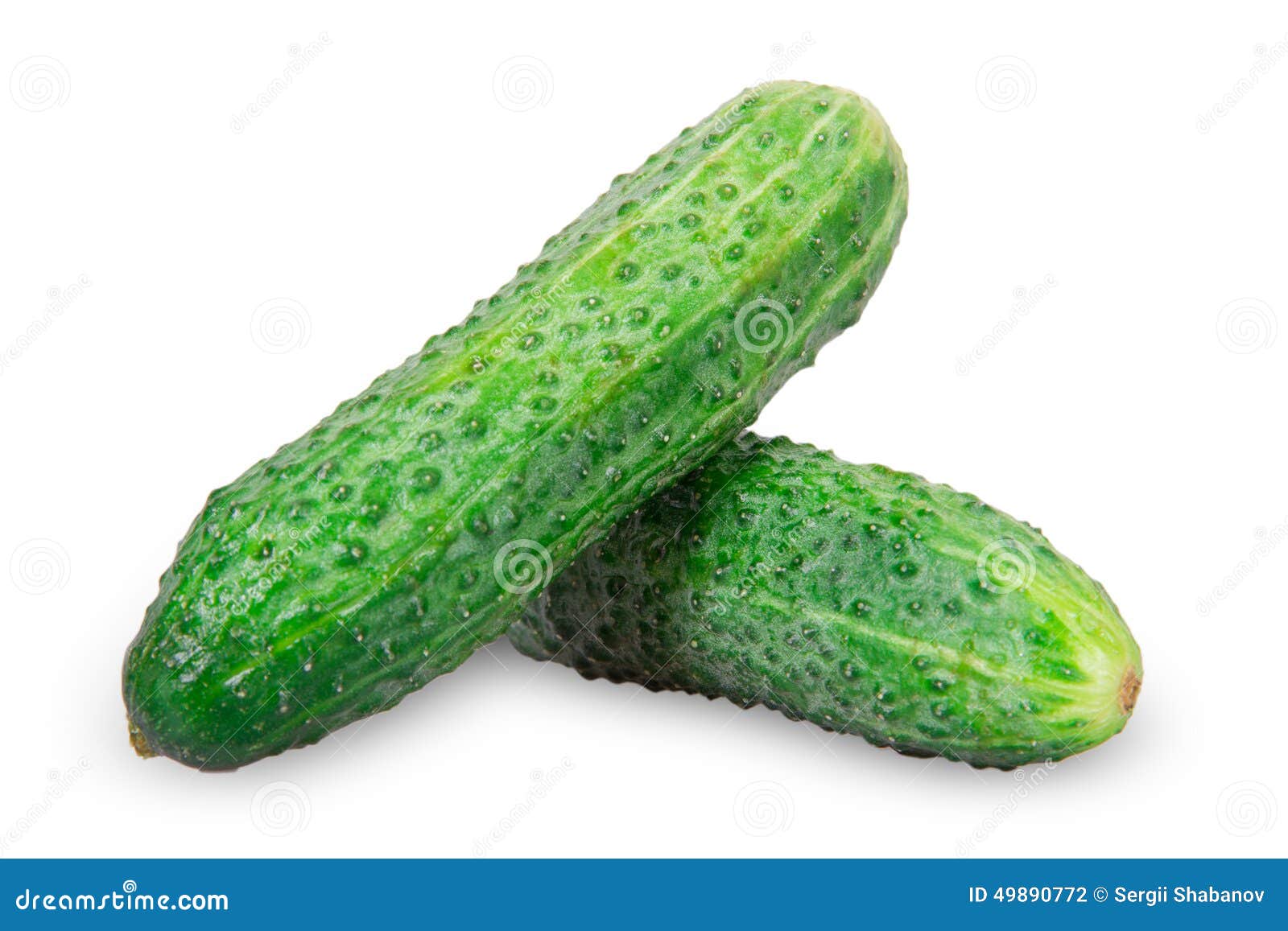 Two cucumber stock photo. Image of closeup, dieting, gherkin - 49890772