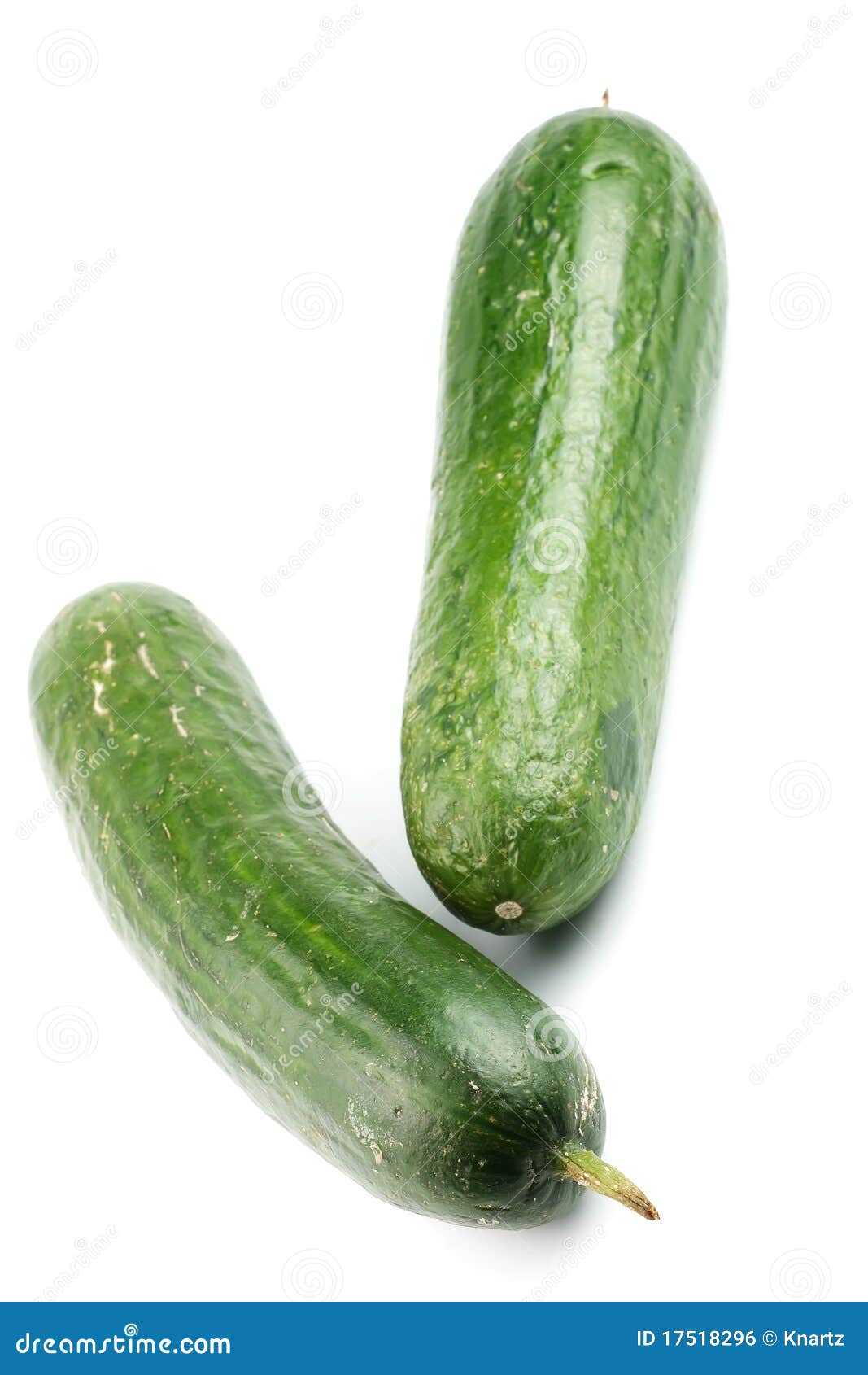 Two cucumbers stock photo. Image of freshness, cucumber - 17518296