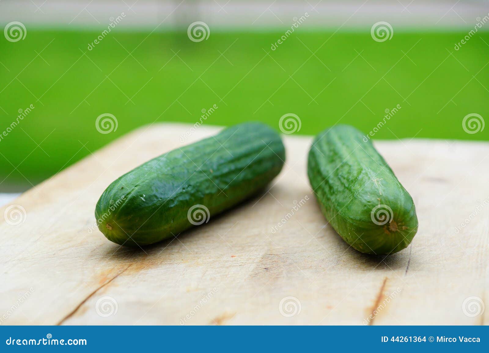 Two cucumbers stock photo. Image of cucumbers, natural - 44261364