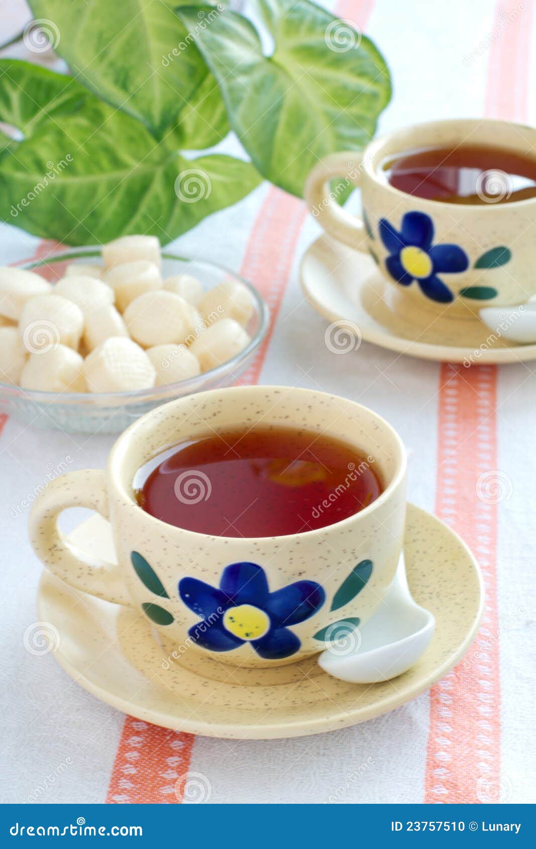 Two cups of tea stock photo. Image of morning, health - 23757510