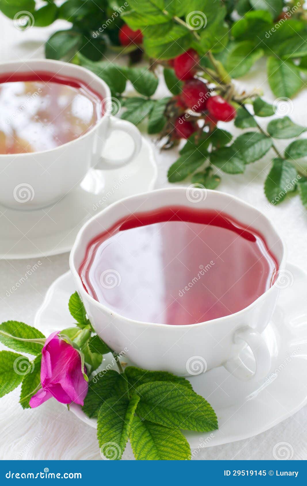 Two cups of tea stock image. Image of health, pink, gourmet - 29519145