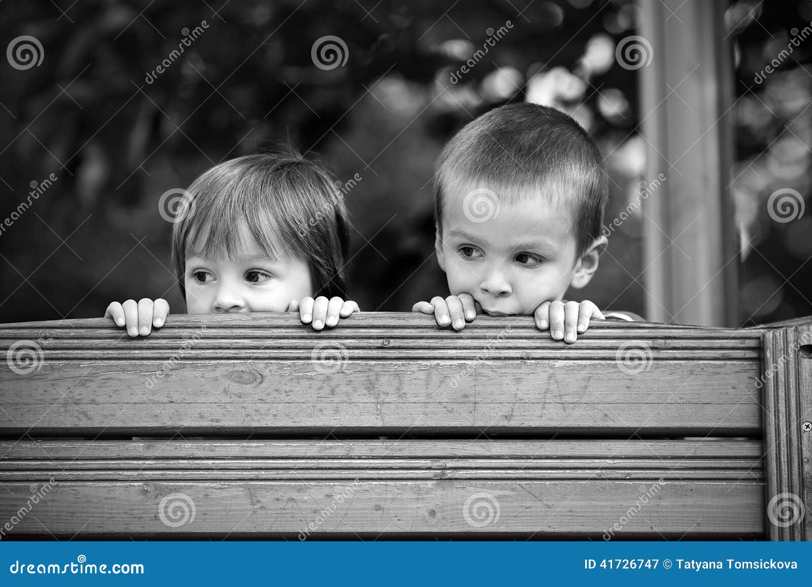 Two Curious Boys, Looking Over a Wooden Wall Stock Image - Image of ...