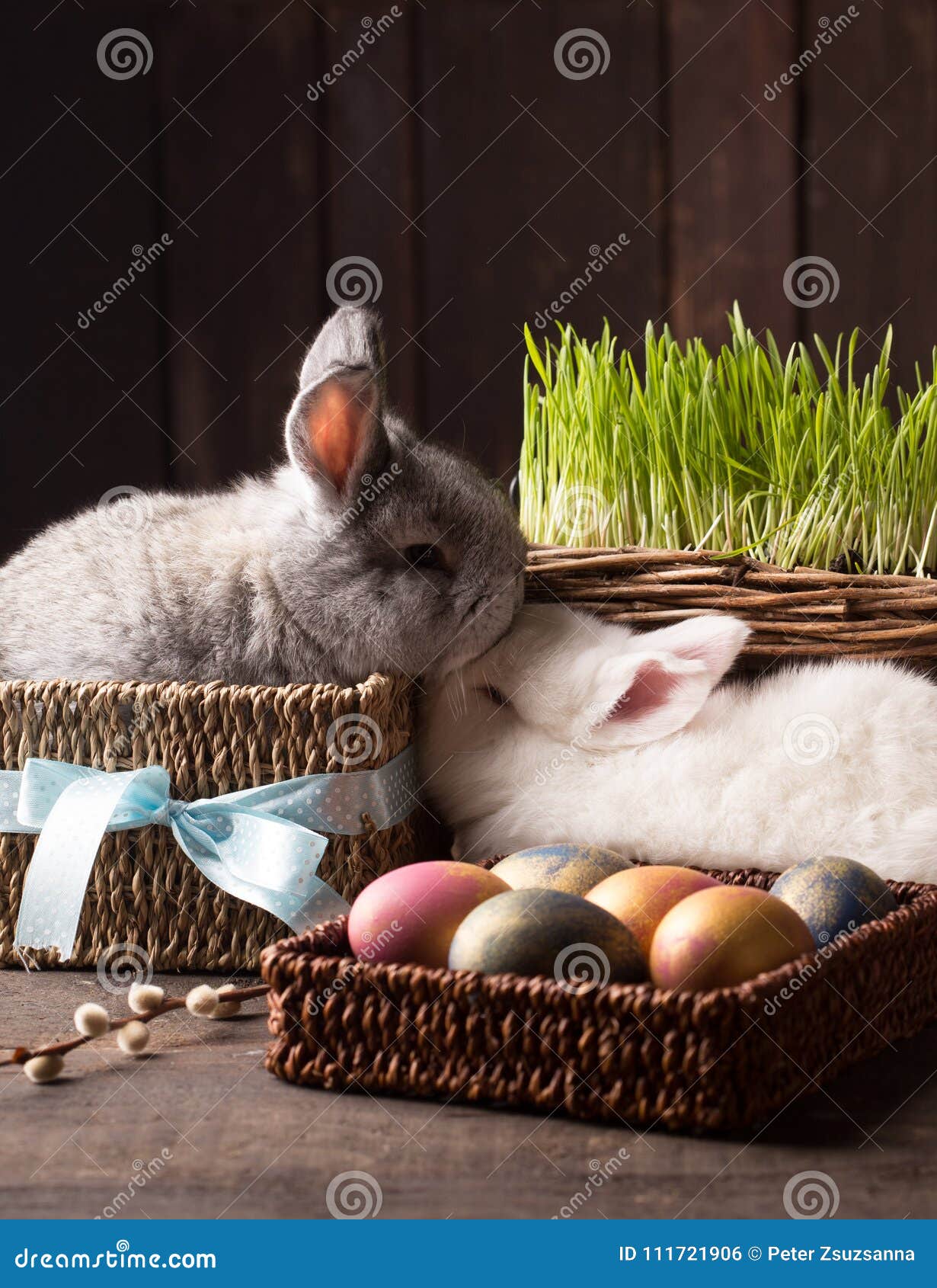 Two Cute Easter Bunny with Colored Eggs Stock Photo - Image of rabbit ...