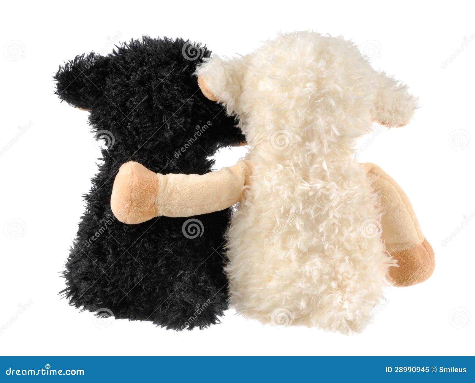 Two cute stuffed animals stock image. Image of nice, fabric - 28990945