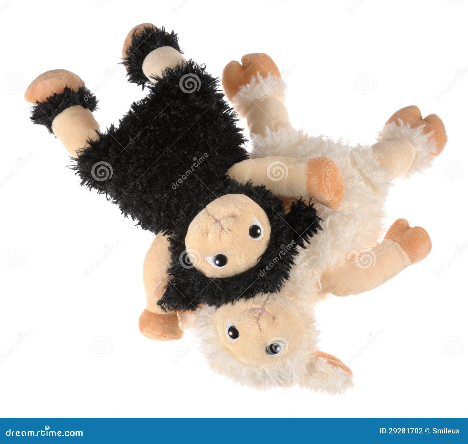 Two cute stuffed animals stock photo. Image of lying - 29281702