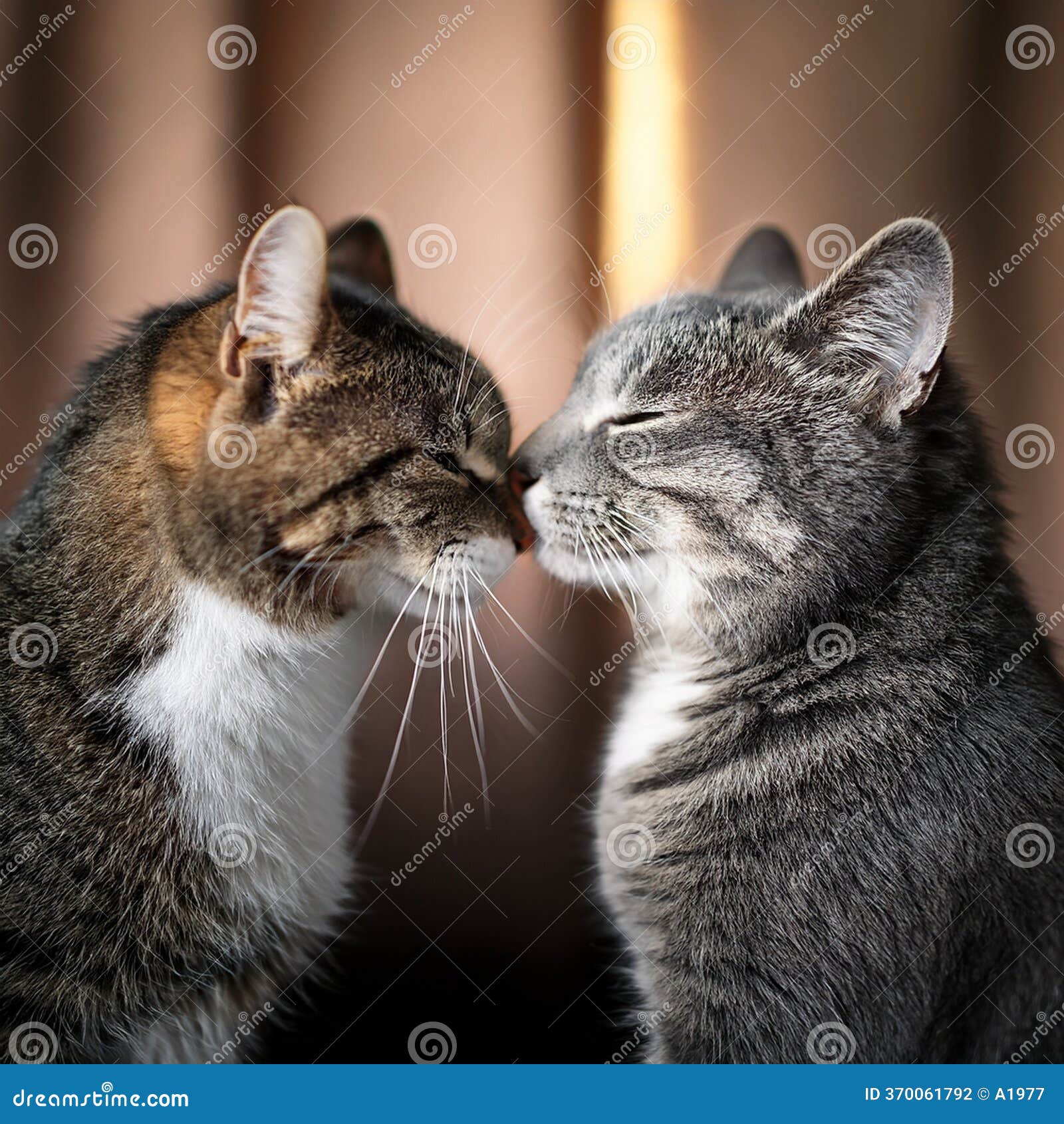 Two Cats Rubbing Their Nose, AI Generated Stock Image | CartoonDealer ...
