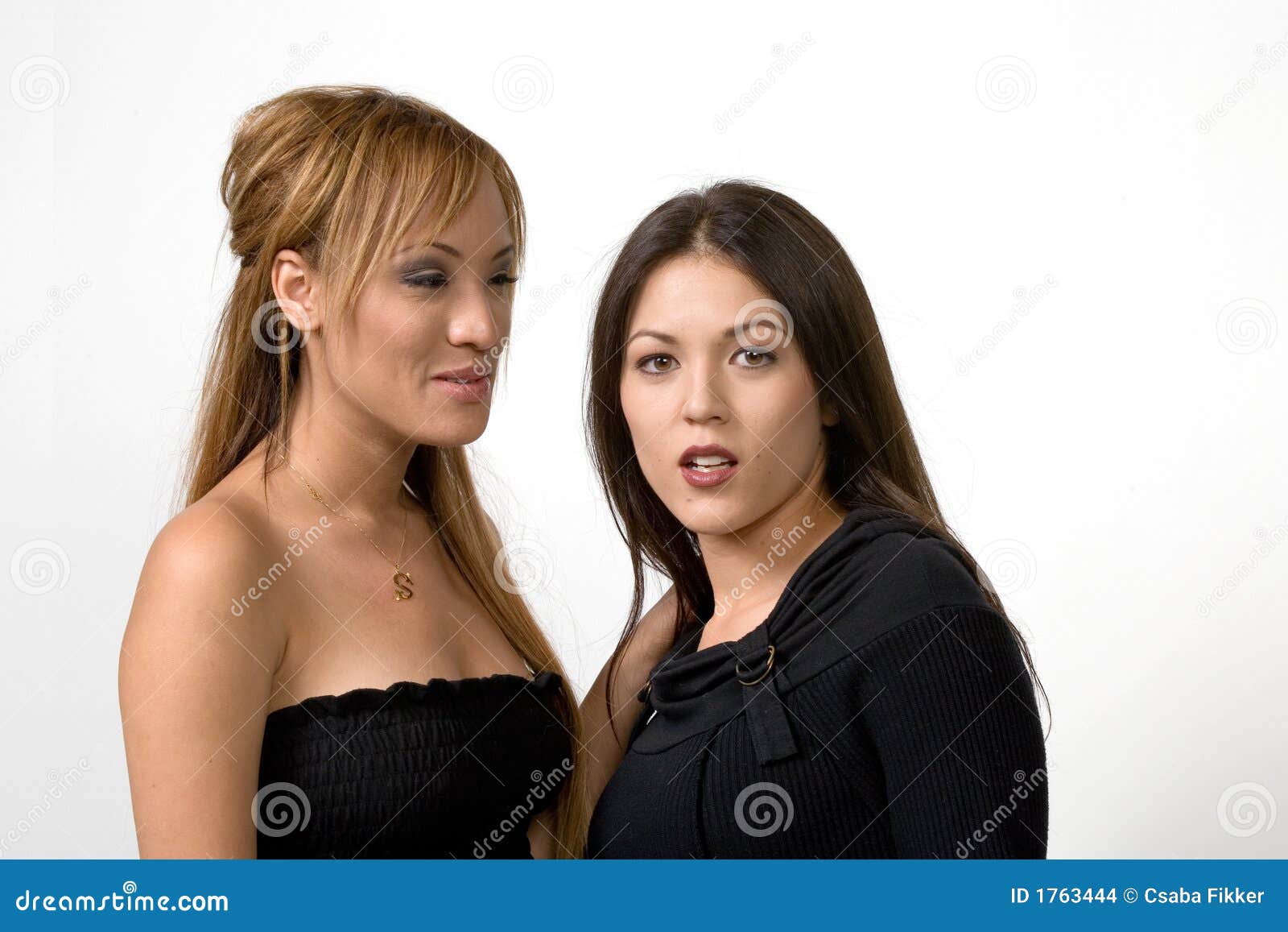 Two Cute Young Women stock photo. Image of friends, females - 1763444