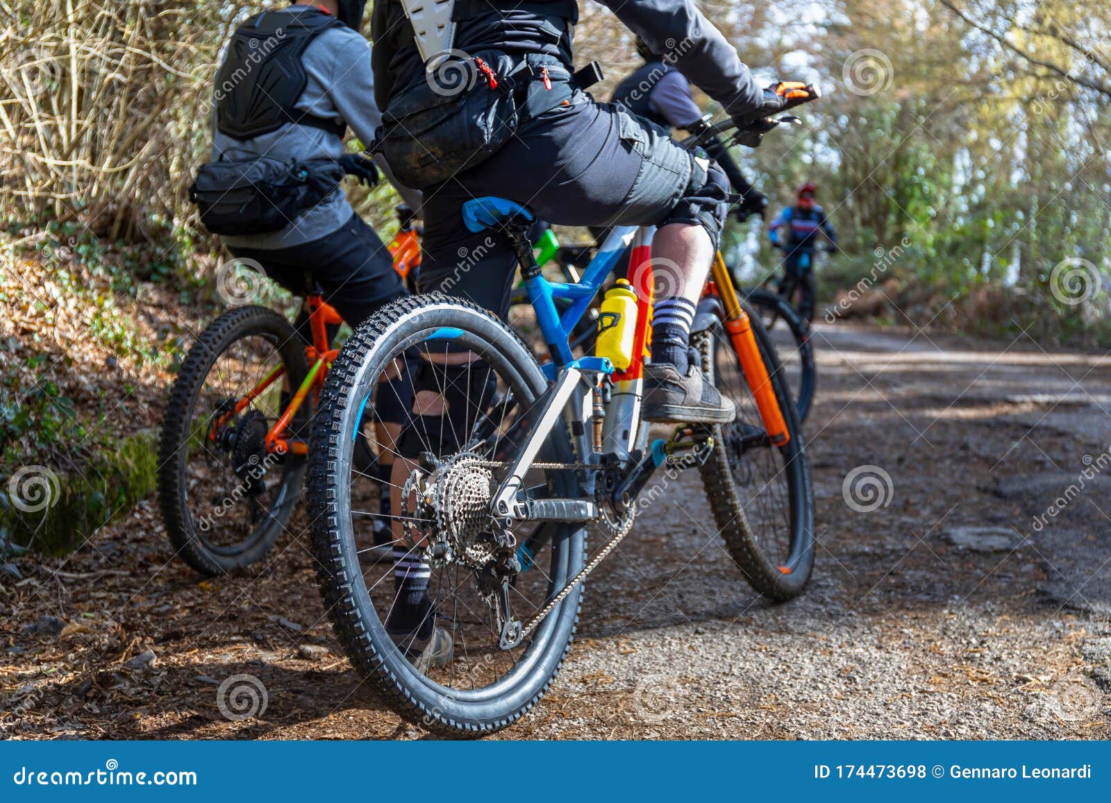 Two Cyclists in Mountain Bikes Waiting on the Tree-lined Path Stock ...
