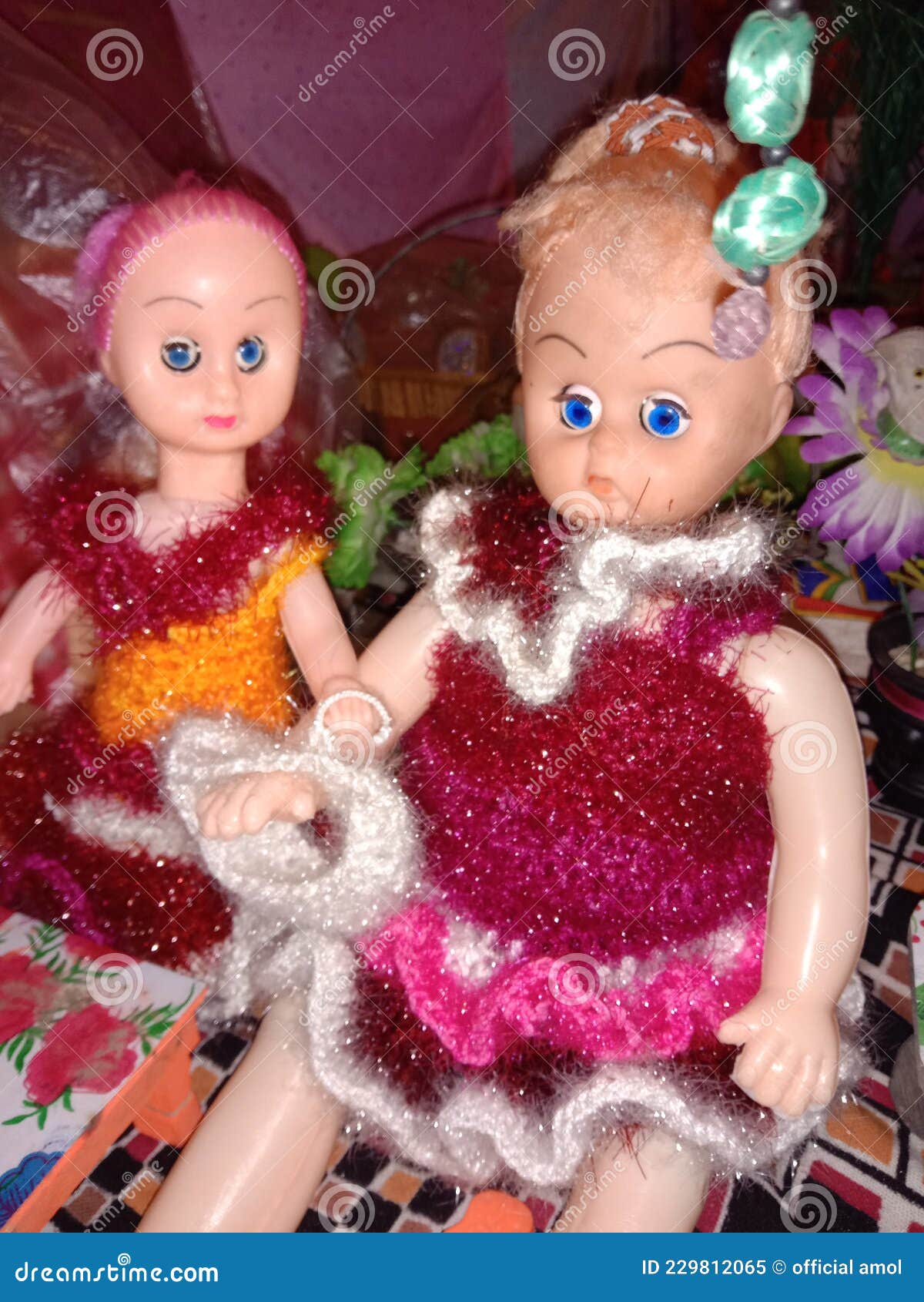 The Two Dall Conservation in Each Other Stock Image - Image of dalls ...