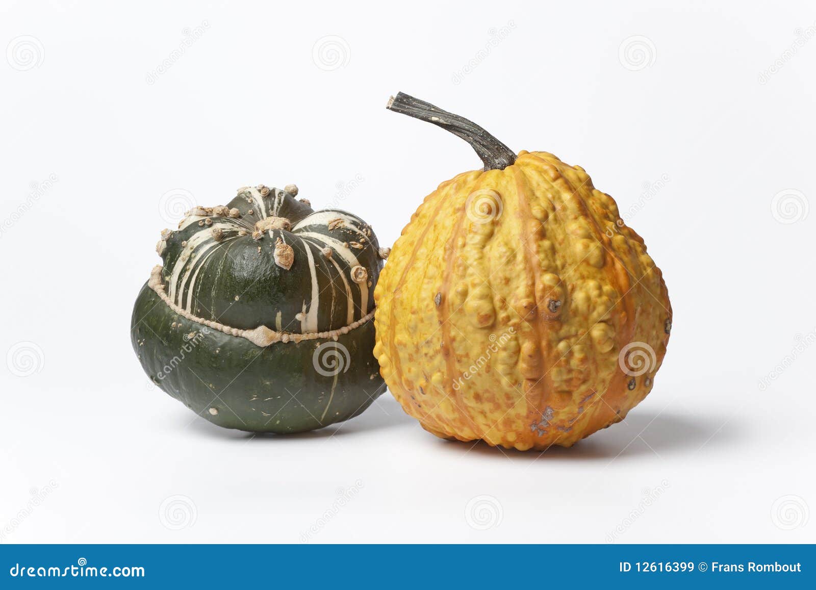 Two decorative pumpkins stock image. Image of squash - 12616399