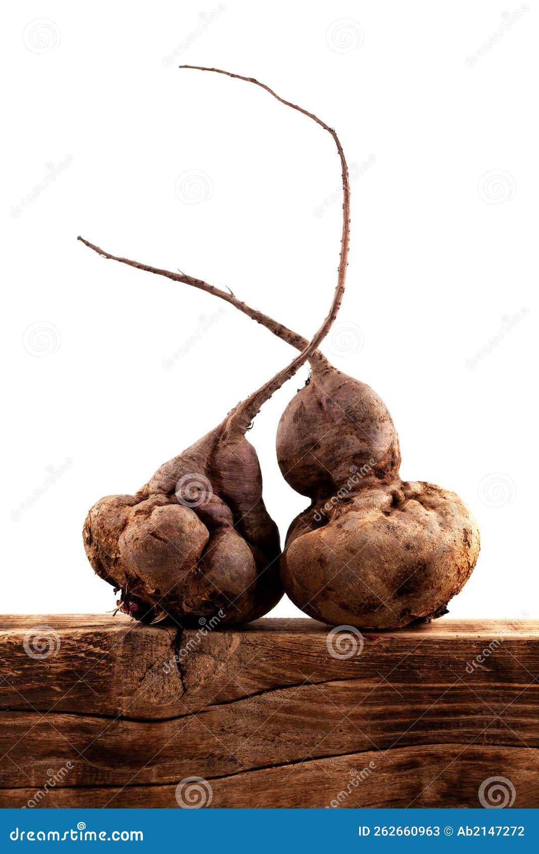 Two Deformed Ugly Beetroot. Ugly Vegetables Abnormal Shape, Selective ...