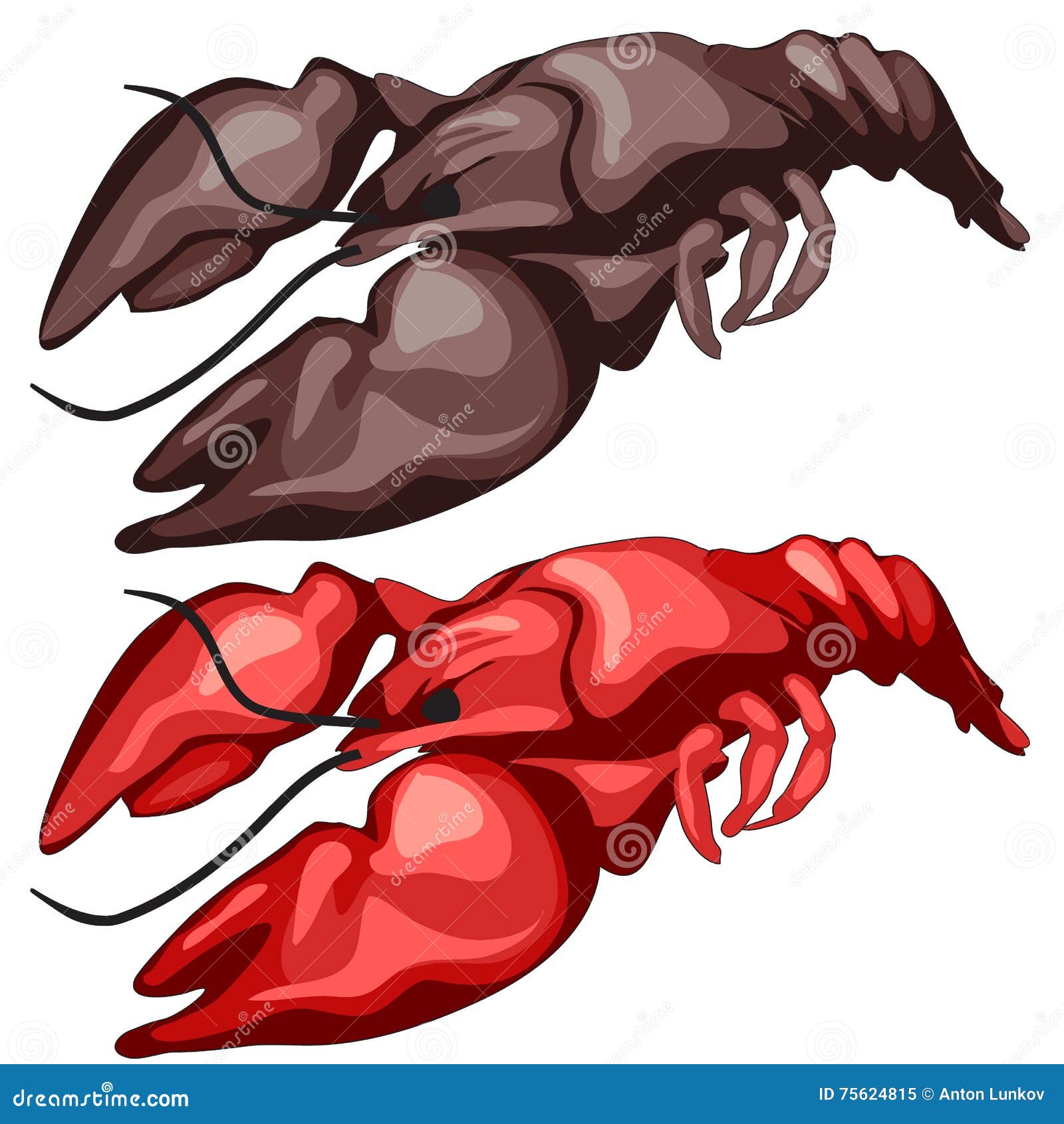 Crawfish Vector Black Silhouette Illustration | CartoonDealer.com ...