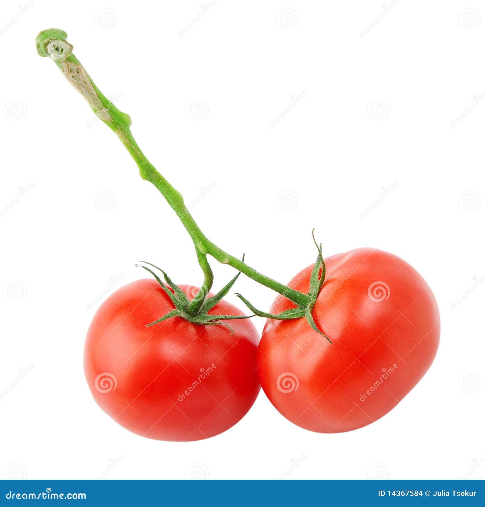 Two delicious tomatoes . stock photo. Image of cook, delicious - 14367584