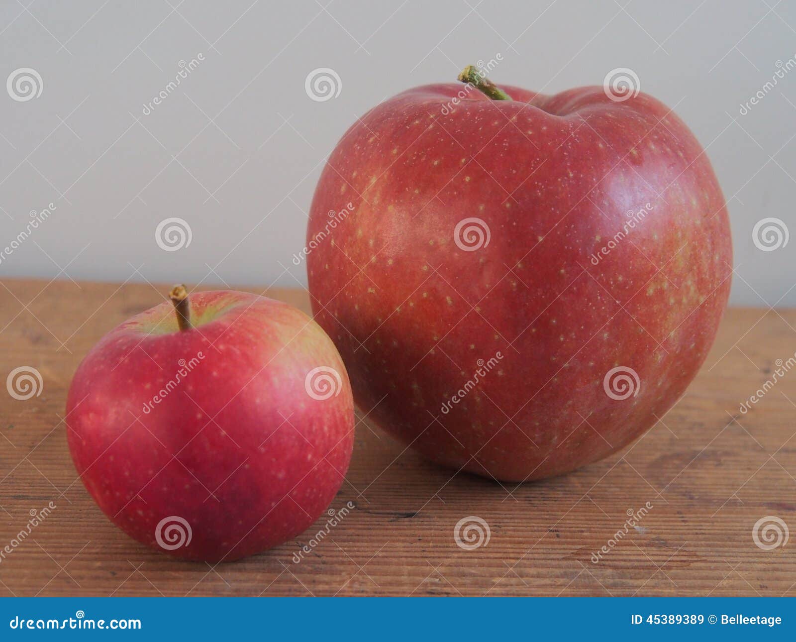 Two different apples stock image. Image of tolerance - 45389389