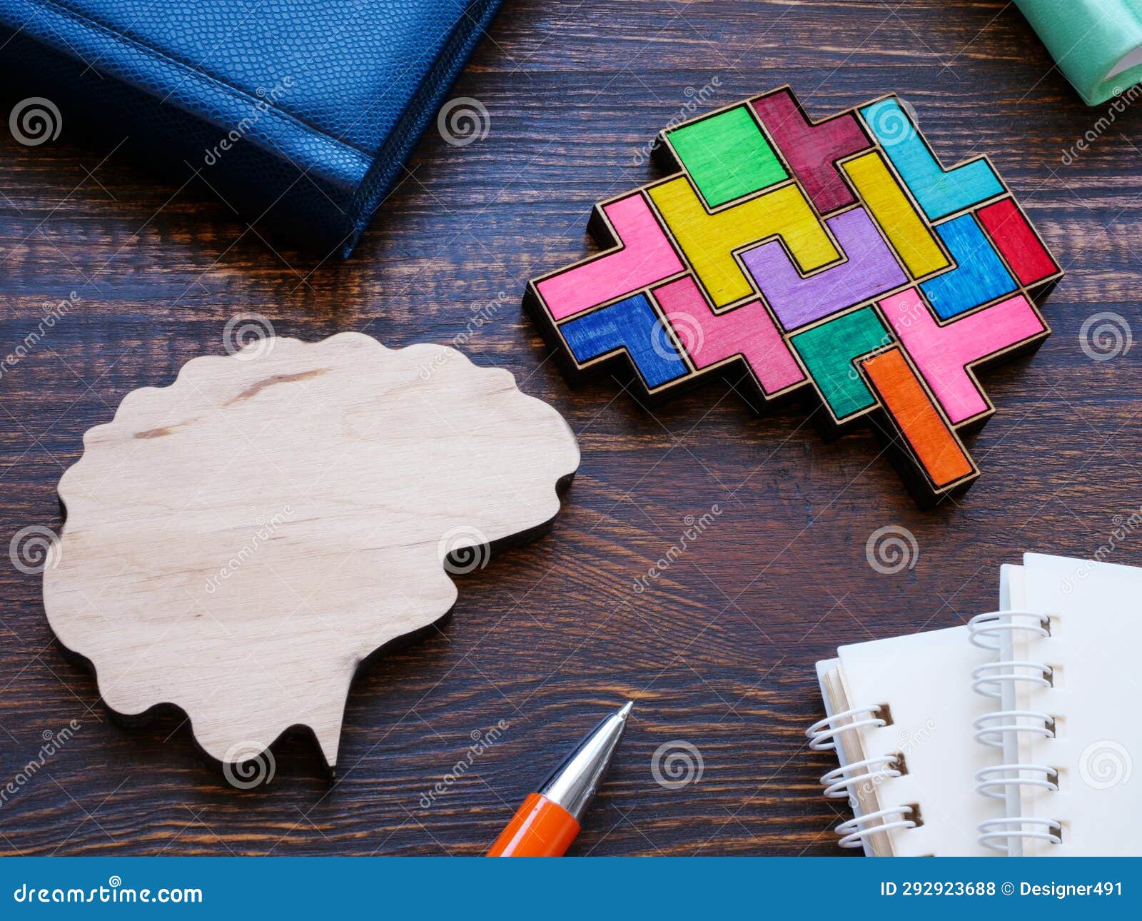 Two Different Brains As a Symbol of Neurodiversity or Creativity. Stock ...