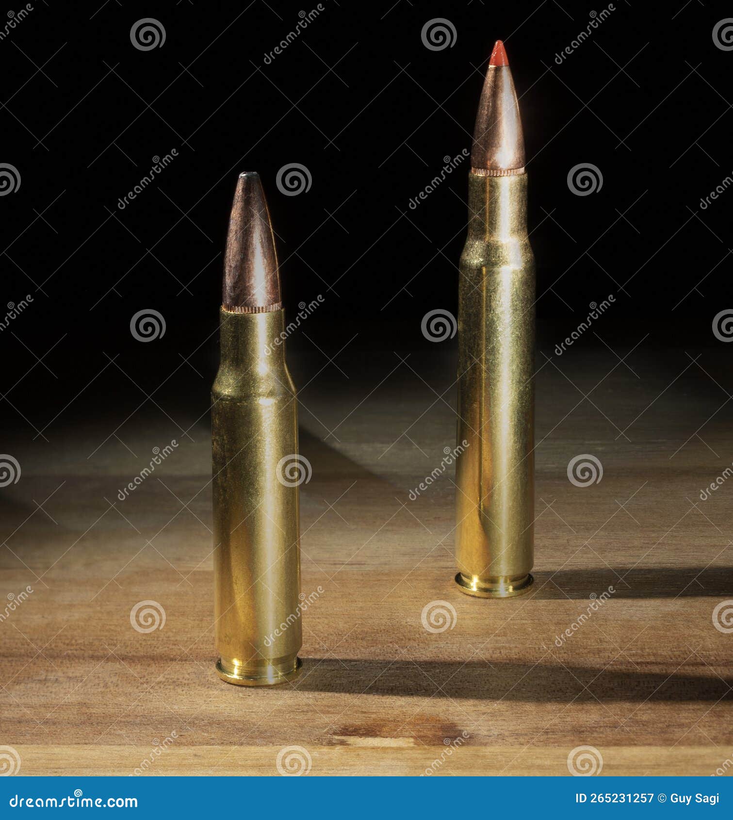 Two Different Bullets Side by Side Stock Image - Image of pair, gold ...