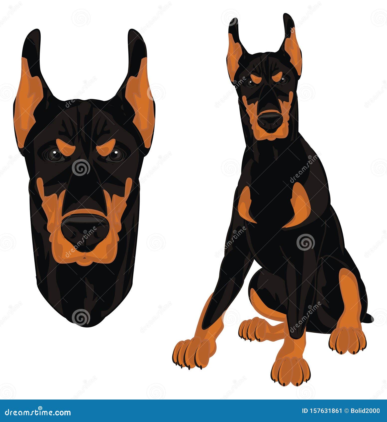 Two different dogs stock illustration. Illustration of together - 157631861