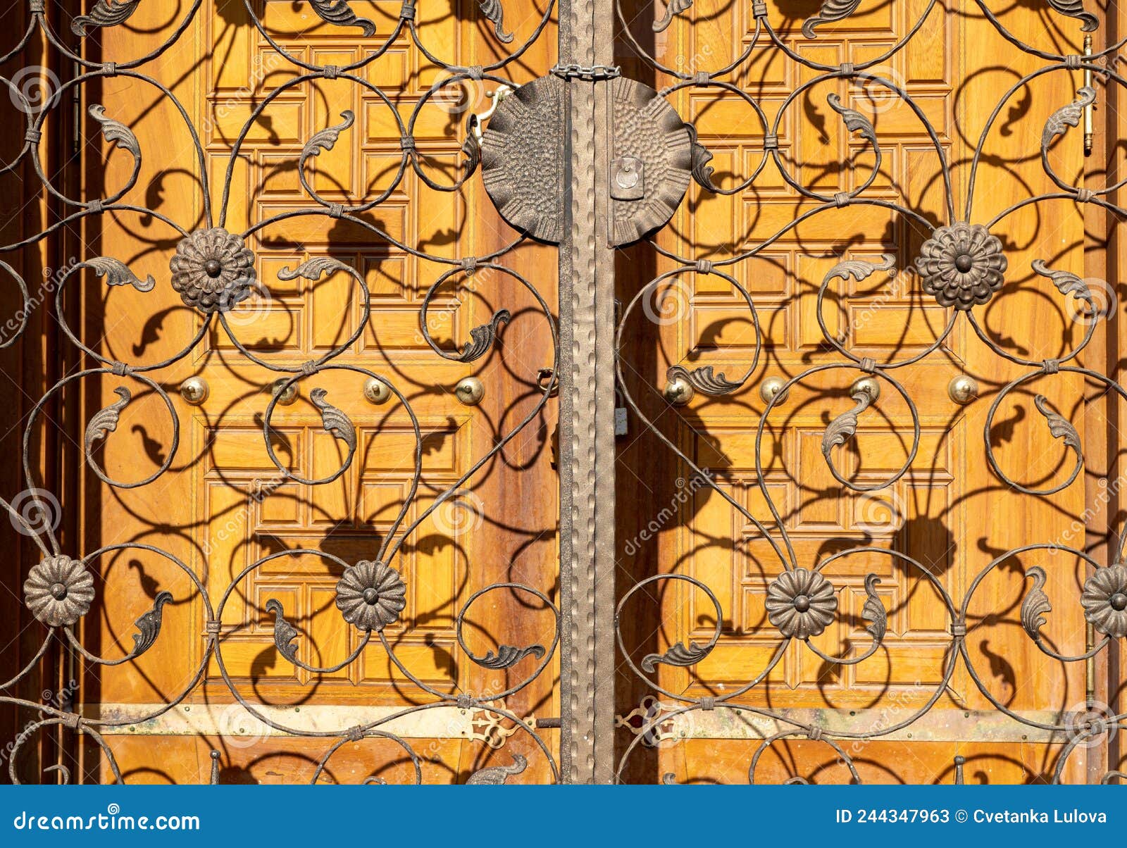 Two Different Doors.Iron Door.Wooden Door Stock Image - Image of ...