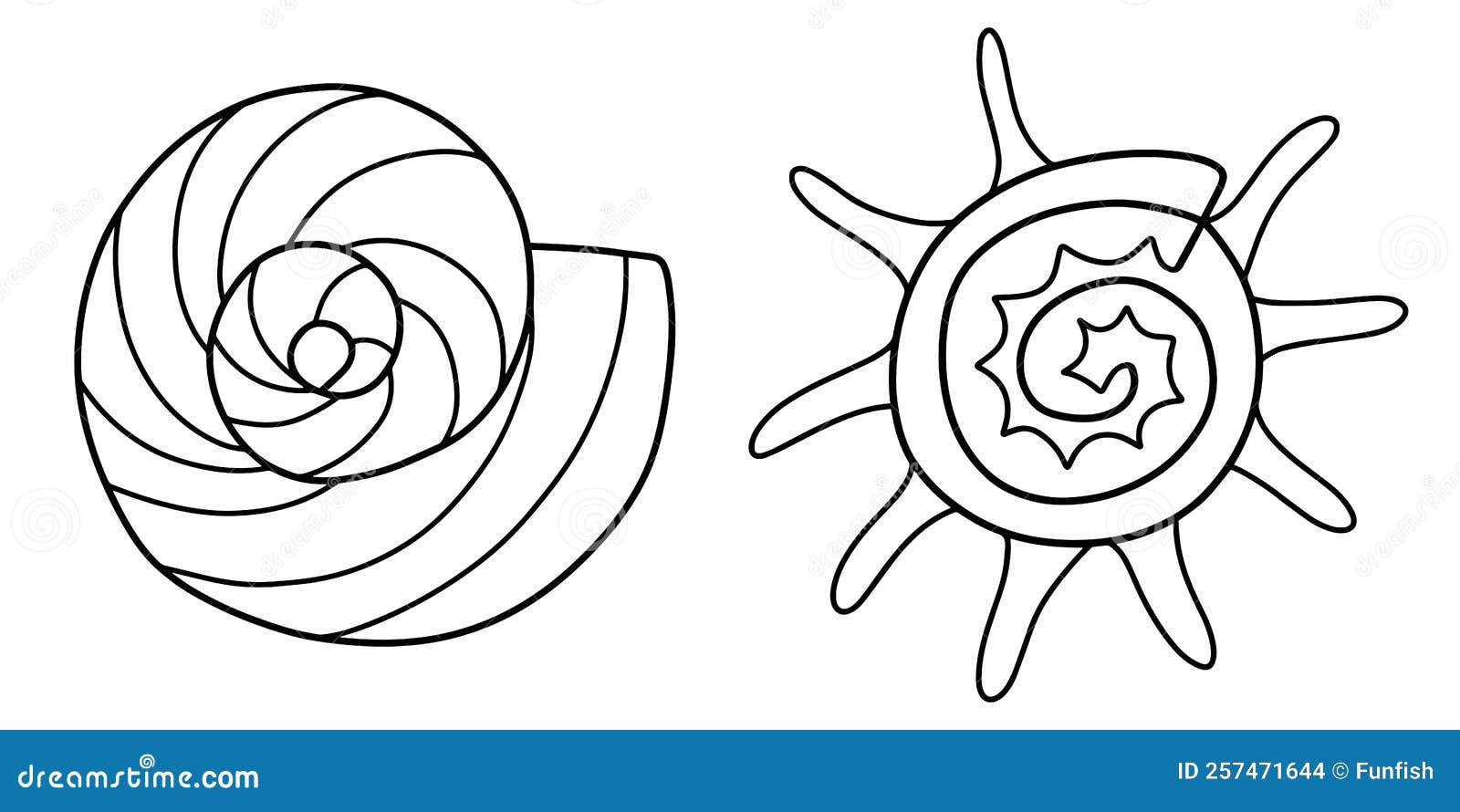 Two Different Hand-drawn Seashells Black Outline Vector Illustration ...