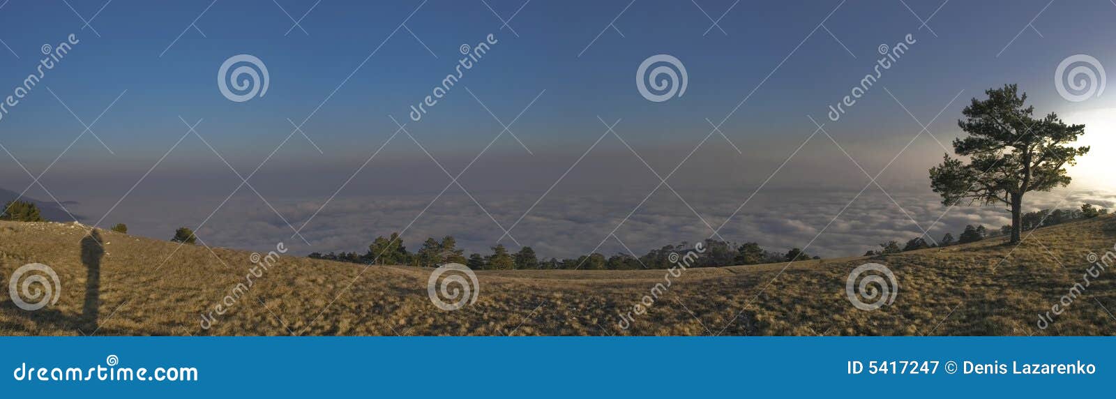 Two different lives stock image. Image of tree, blue, panorama - 5417247