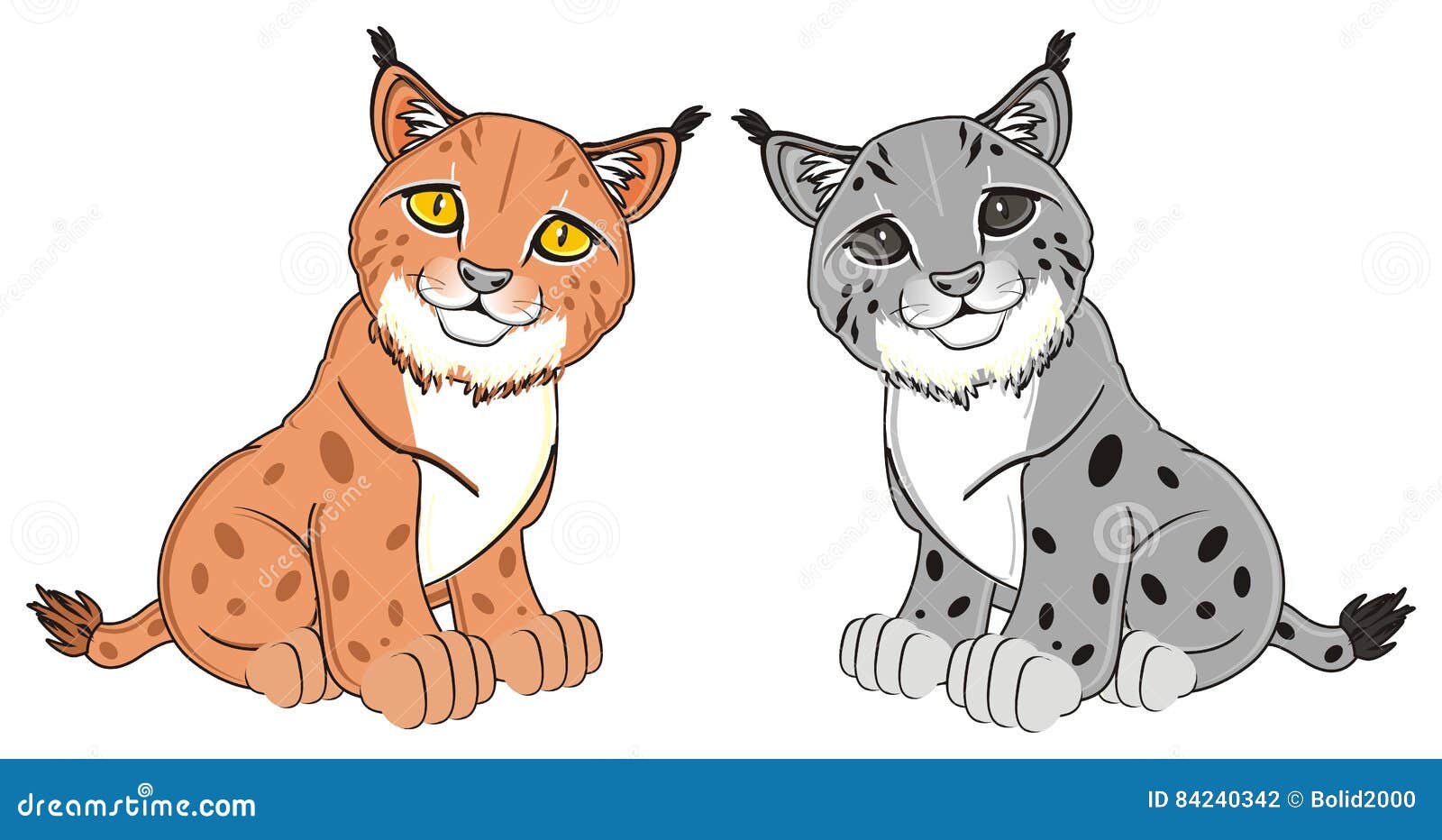 Two different lynxs stock illustration. Illustration of pair - 84240342
